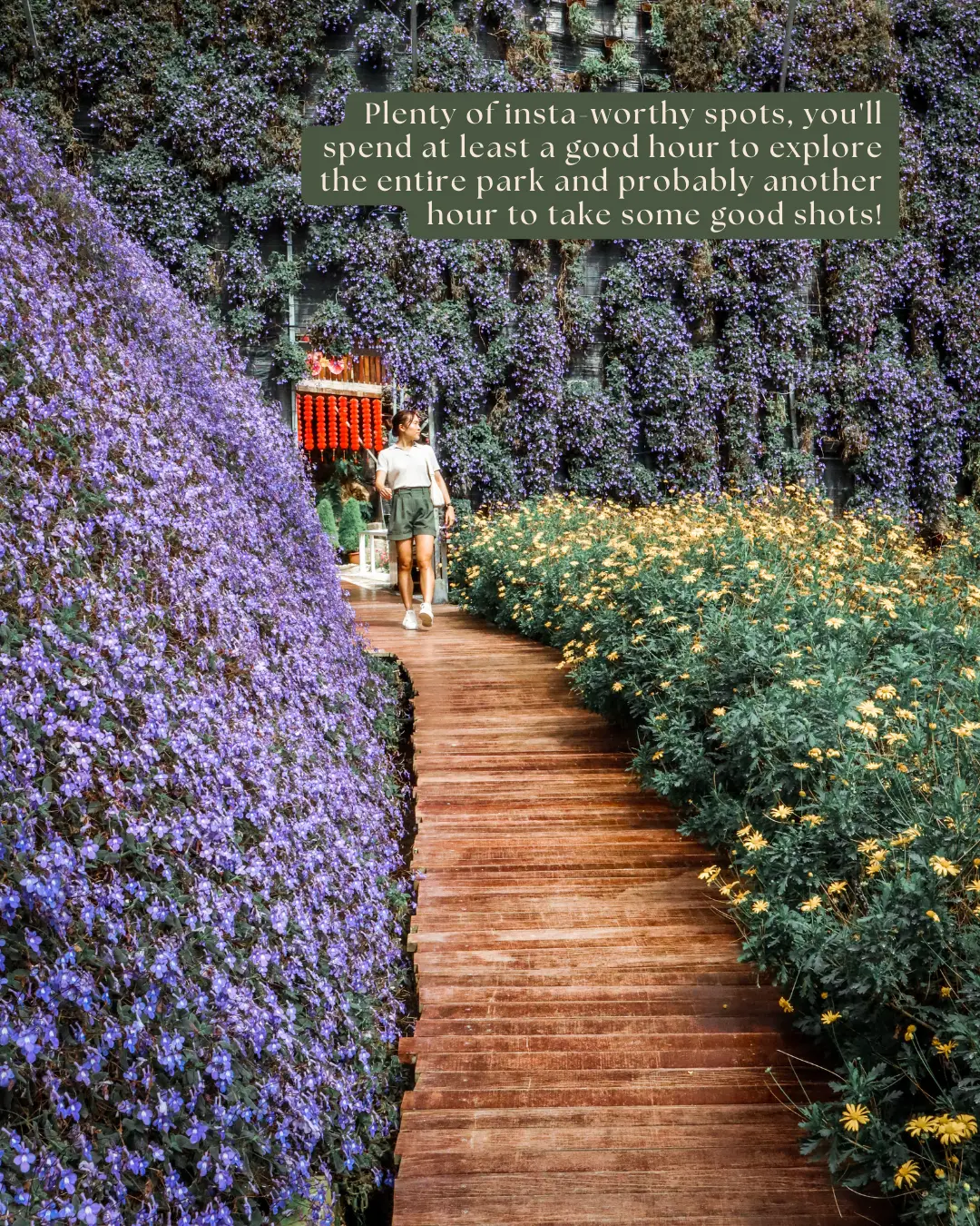 Spectacular Garden With Many IG-Worthy Spots😍 🌸🌷 | Gallery posted by ...