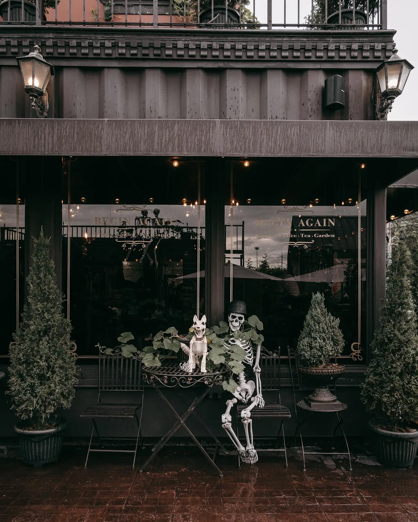 Begin Again เปลี่ยนบรรยากาศเป็นธีมฮาโลวีน 💀🖤 | แกลเลอรีที่โพสต์โดย Rattomarty | Lemon8