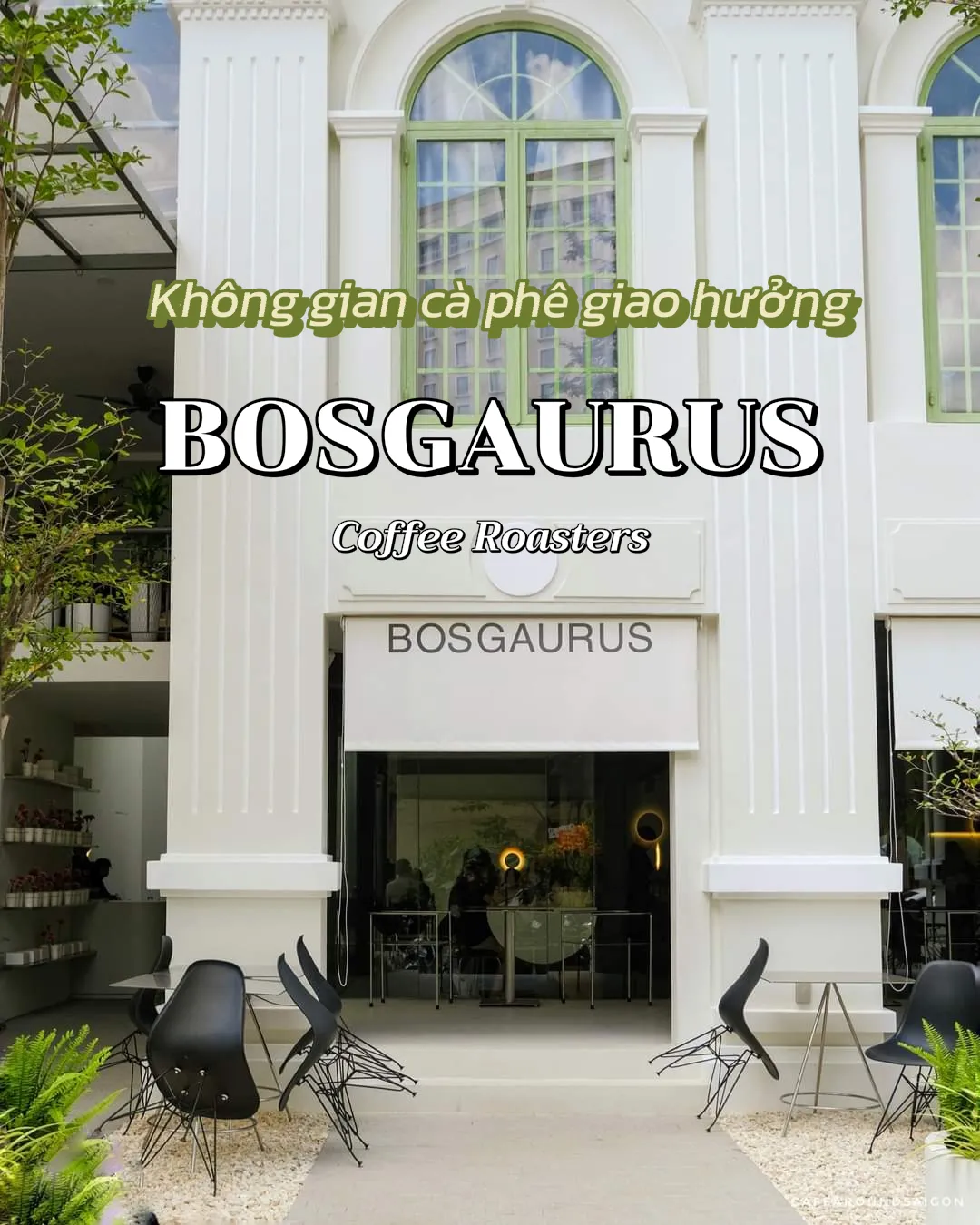 ☕ Bosgaurus - Cà phê cùng giai điệu giao hưởng 🎵 | Bộ sưu tập do Cafe ...