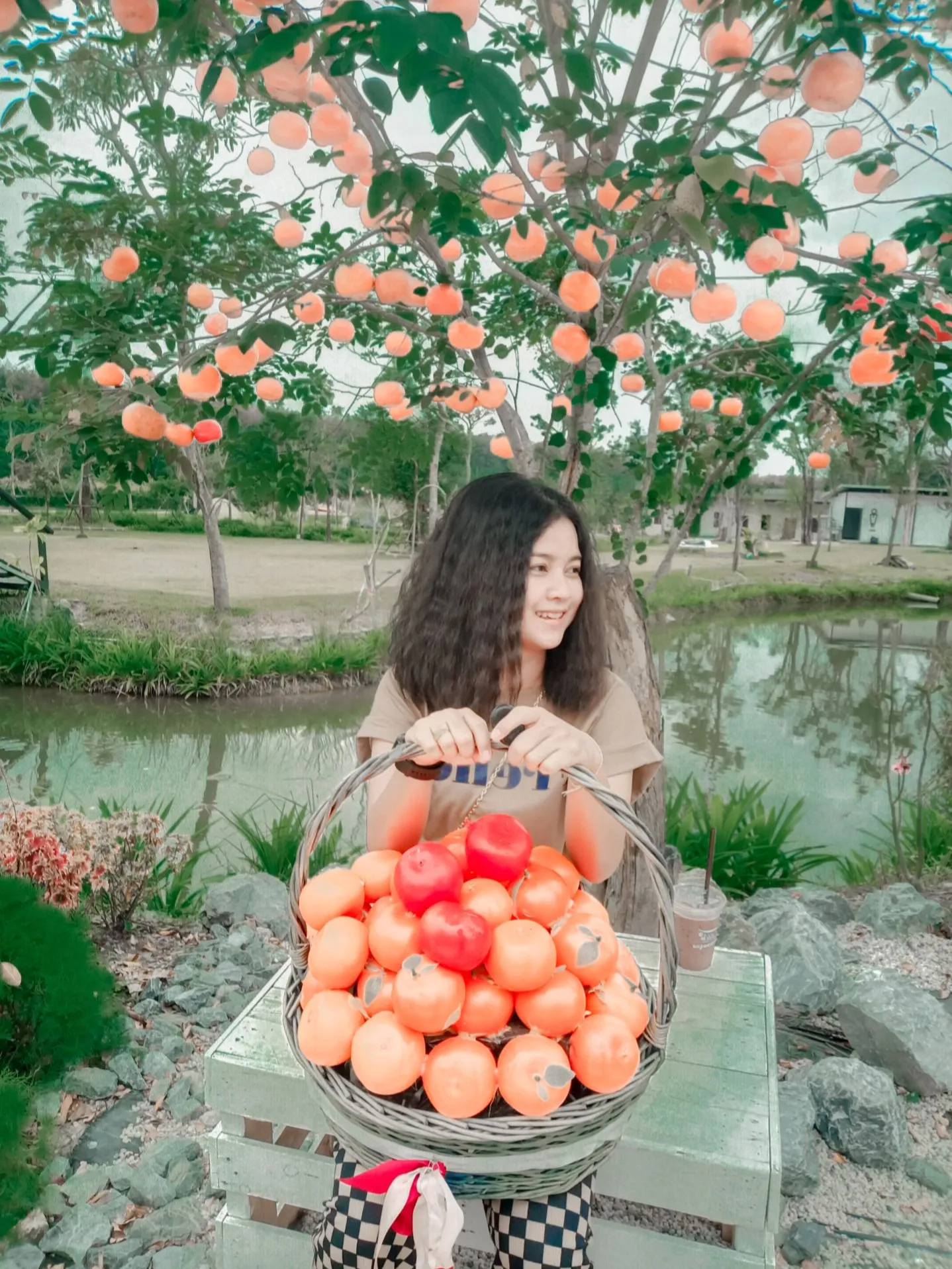 🌿สวนแววอรุณ🌿 (บ่อทอง ชลบุรี)📌 | แกลเลอรีที่โพสต์โดย Aomaom | Lemon8