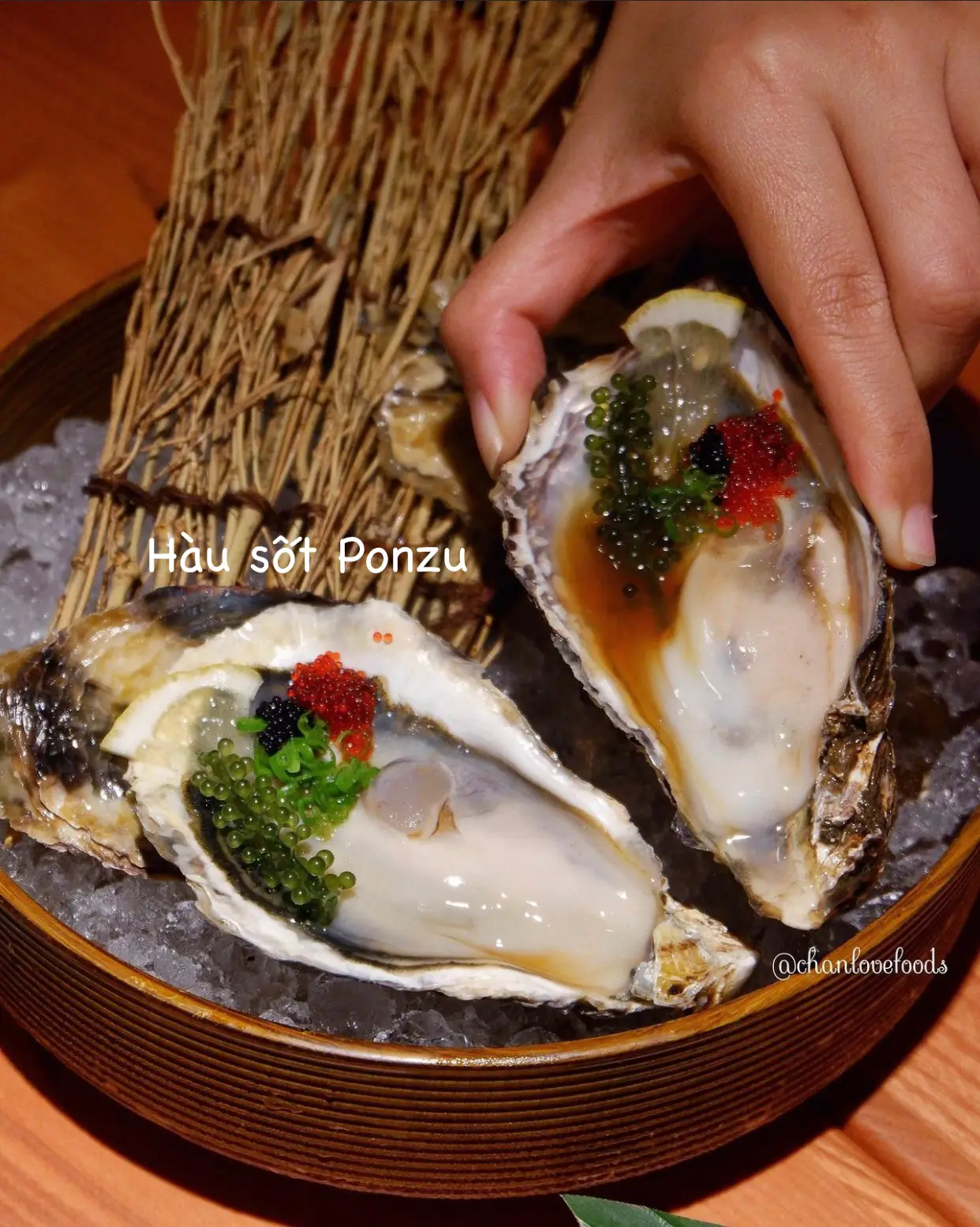 IZAKAYA MATSUKI - QUÁN NHẬU NHẬT NGON RẺ | Bộ sưu tập do Chan Chan đăng | Lemon8