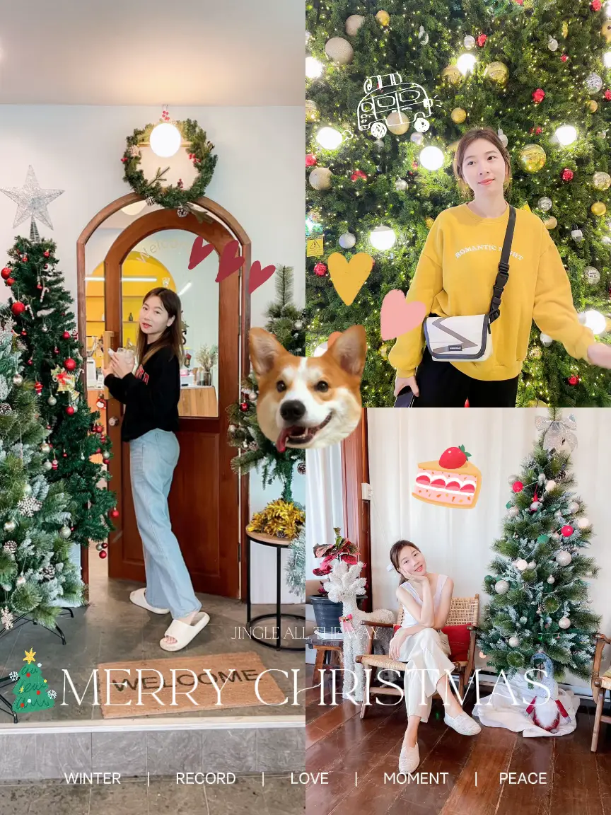 🥉ที่ ตรีมคริสมาตส์🎃😻 | แกลเลอรีที่โพสต์โดย mhai | Lemon8