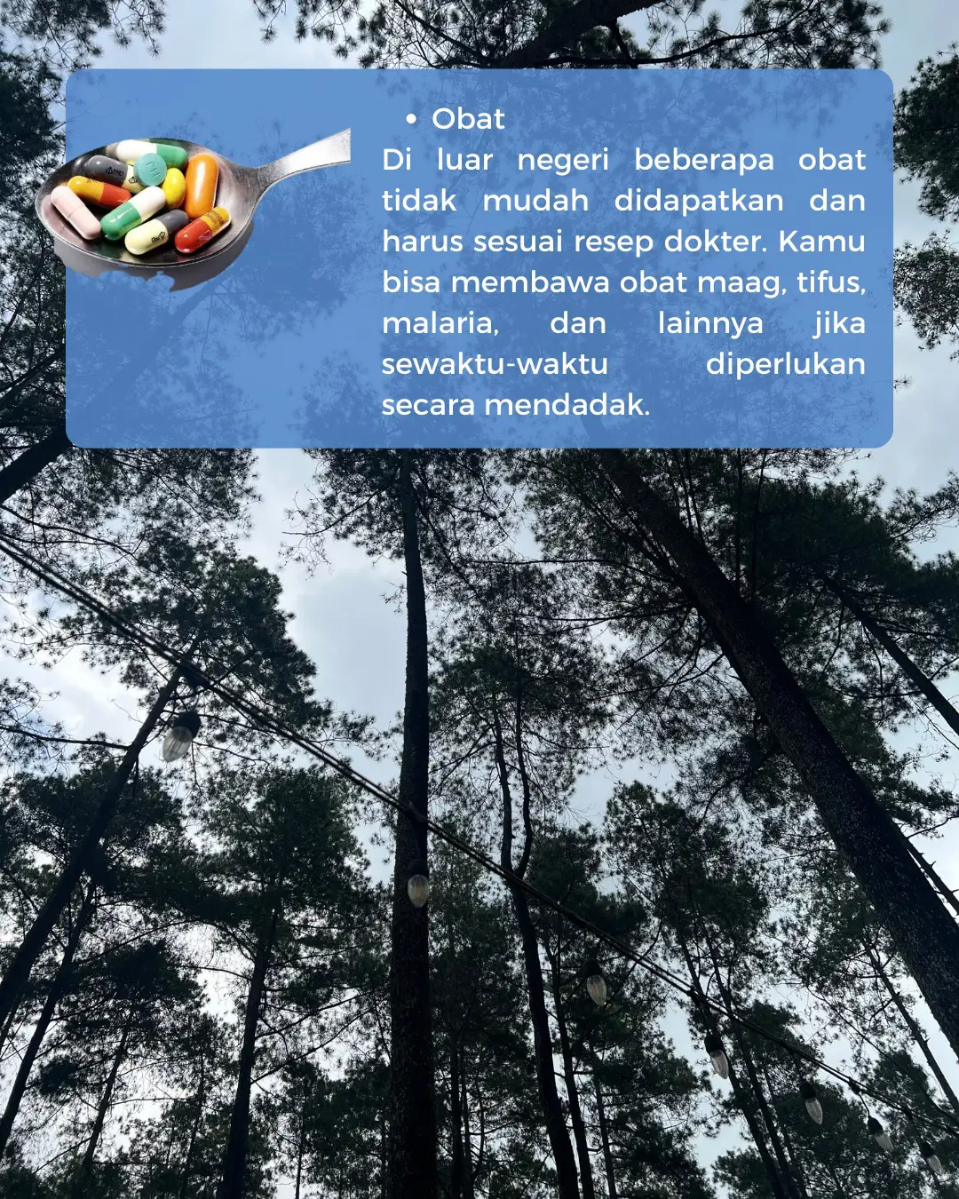 Barang Indonesia yang Wajib Dibawa ke Luar Negeri | Galeri diposting oleh Enta Fadila | Lemon8