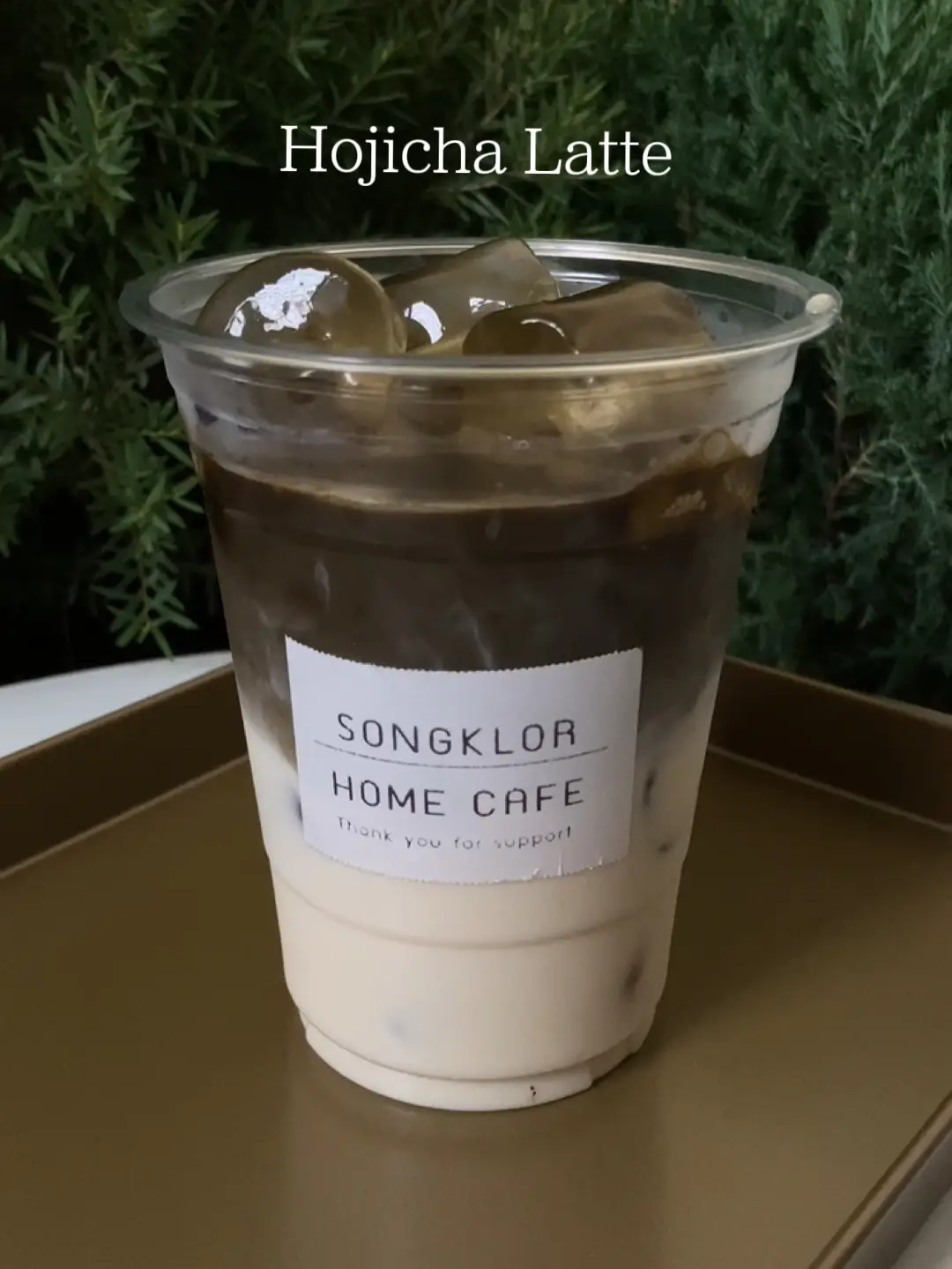 Hojicha Latte🌱 | วิดีโอที่เผยแพร่โดย Themoon.nn🌲🪵🌥️ | Lemon8