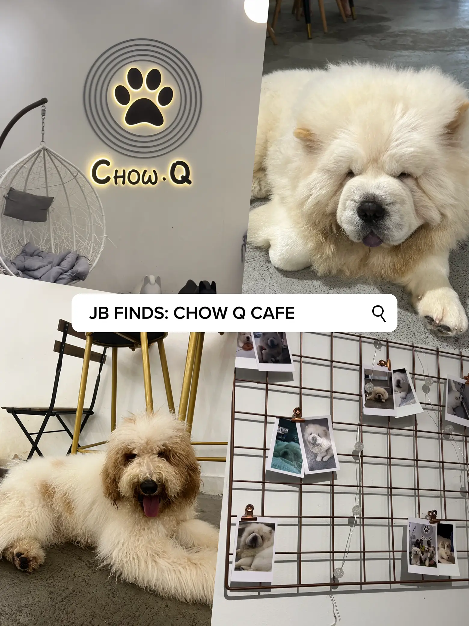 IS THE CHOW Q CAFE WORTH THE HYPE? | Gallery posted by ros ˖° | Lemon8