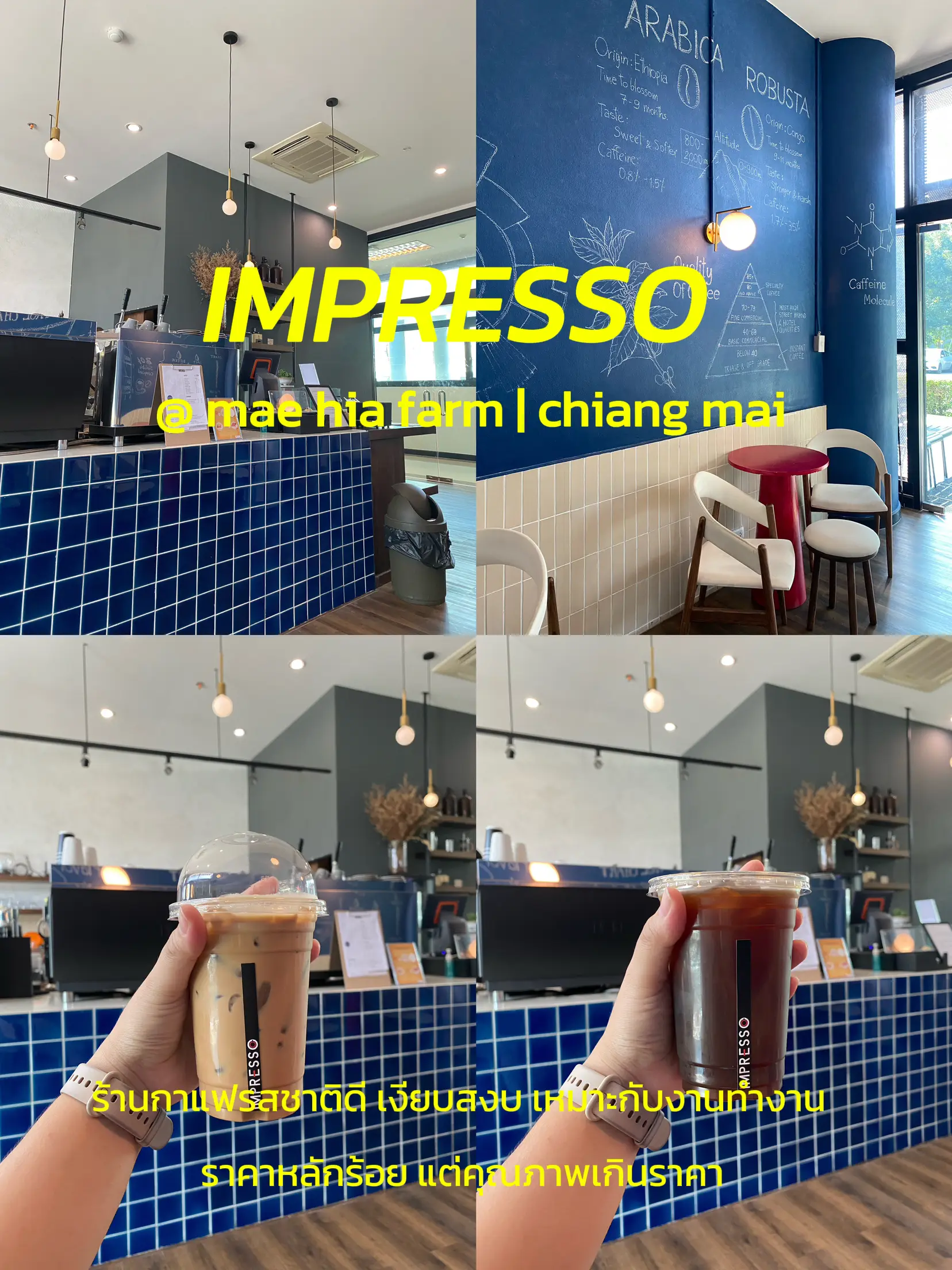 impresso @cmu farm mae hia | เชียงใหม่ | แกลเลอรีที่โพสต์โดย sanookkookkuu | Lemon8