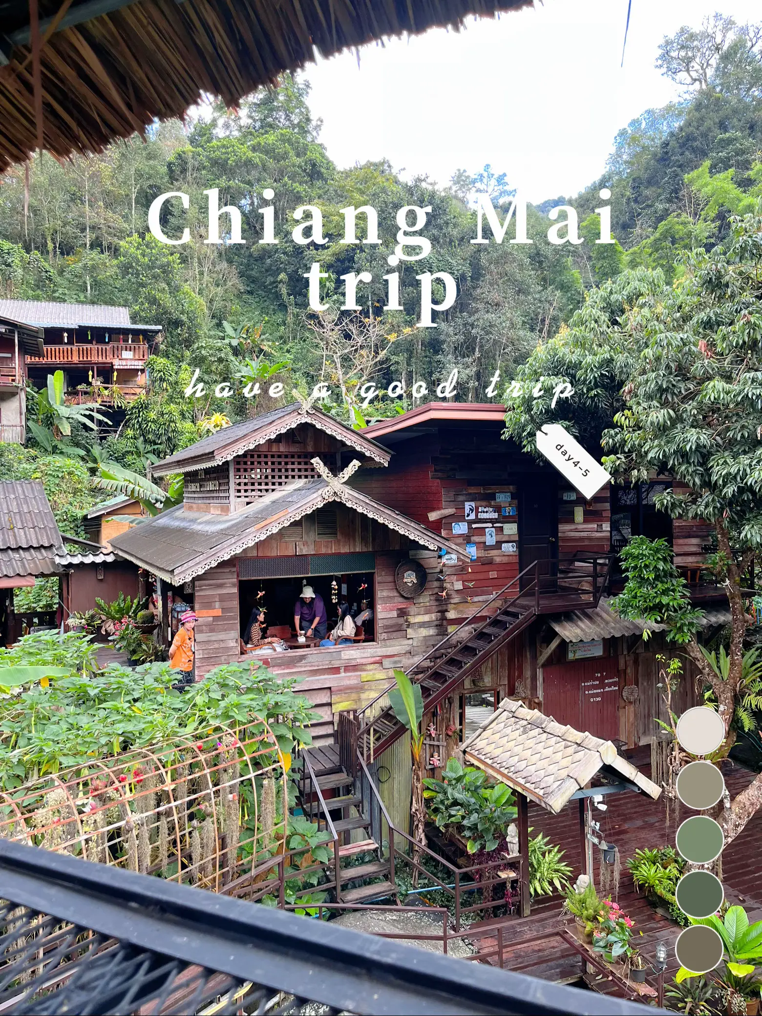 Let's go to Chiang Mai for five days. DAY 4-5. | Gallery posted by pim | Lemon8