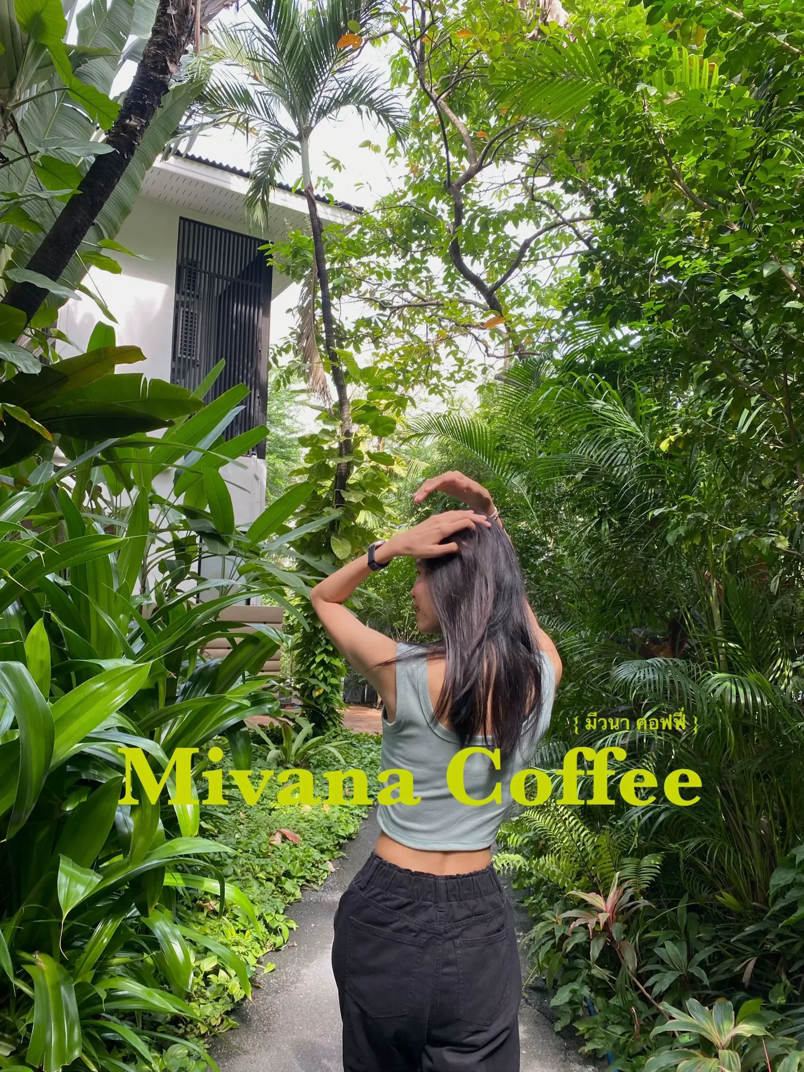 Mivana Coffee คาเฟ่สีเขียวใจกลางเมืองย่านศรีนครินทร์ 🛖🥒 | แกลเลอรีที่ ...