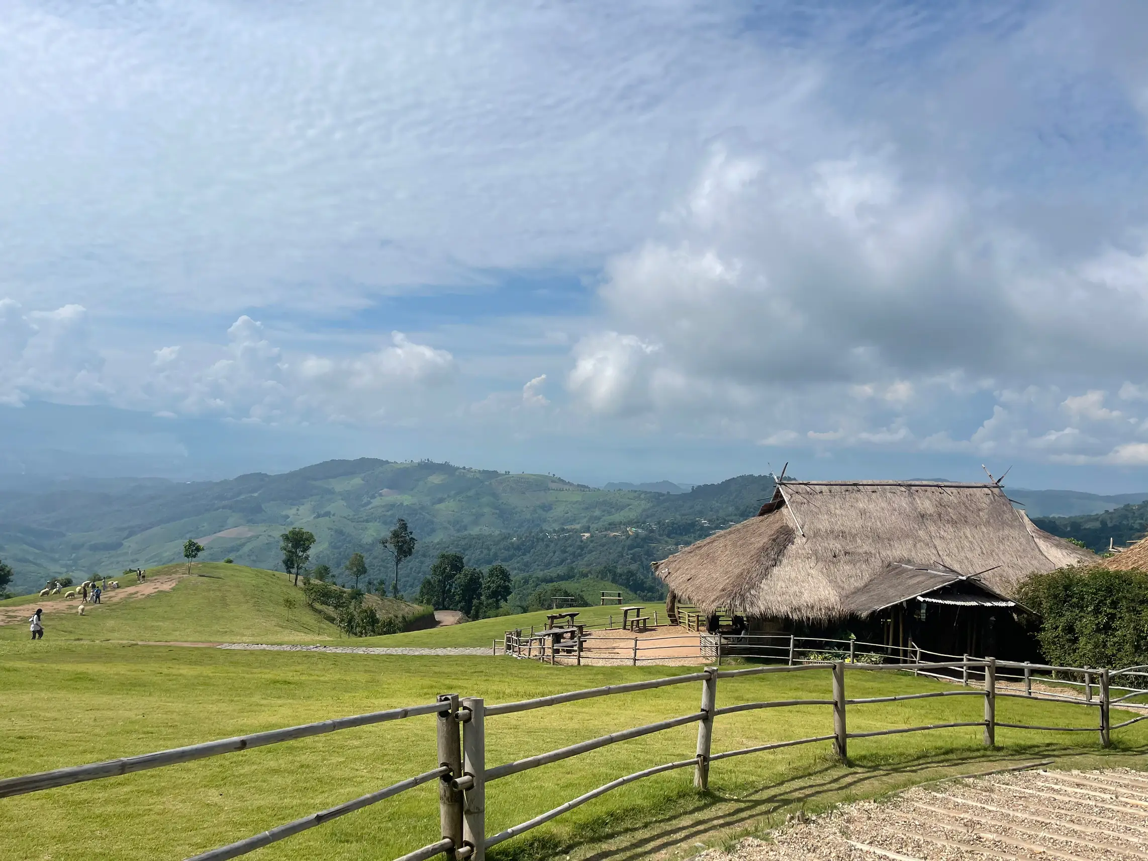 Akha FarmVille🌿ฟาร์มแกะวิวพาโนราม่าสุดปัง📍ดอยช้างเชียงราย | แกลเลอรีที่ ...