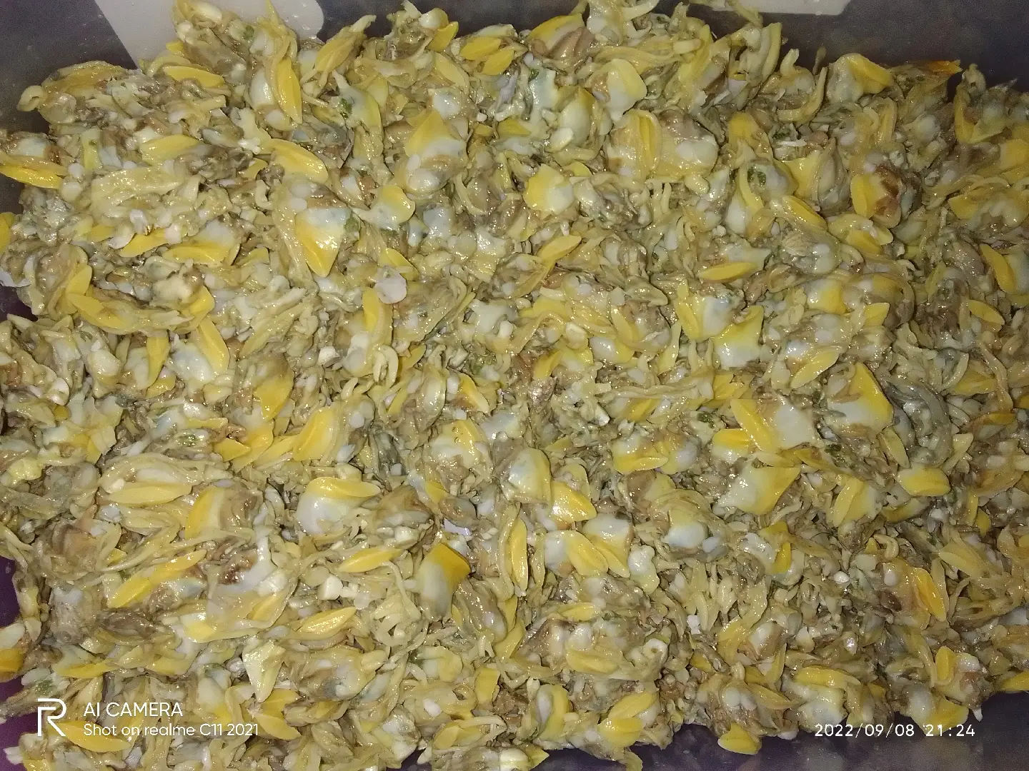 isi siput RETAK SERIBU | Galeri disiarkan oleh Nur Ain | Lemon8