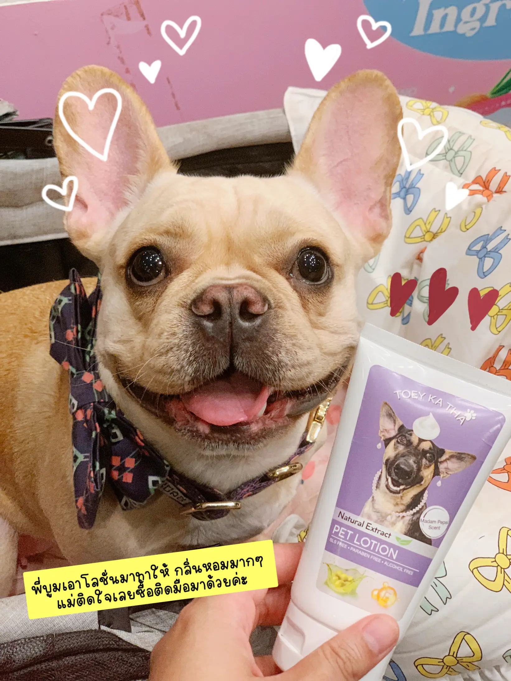 หมูกระทะ เทย กะ ทะ หมูกระทะที่พาน้อนมาด้วยได้ | แกลเลอรีที่โพสต์โดย ...