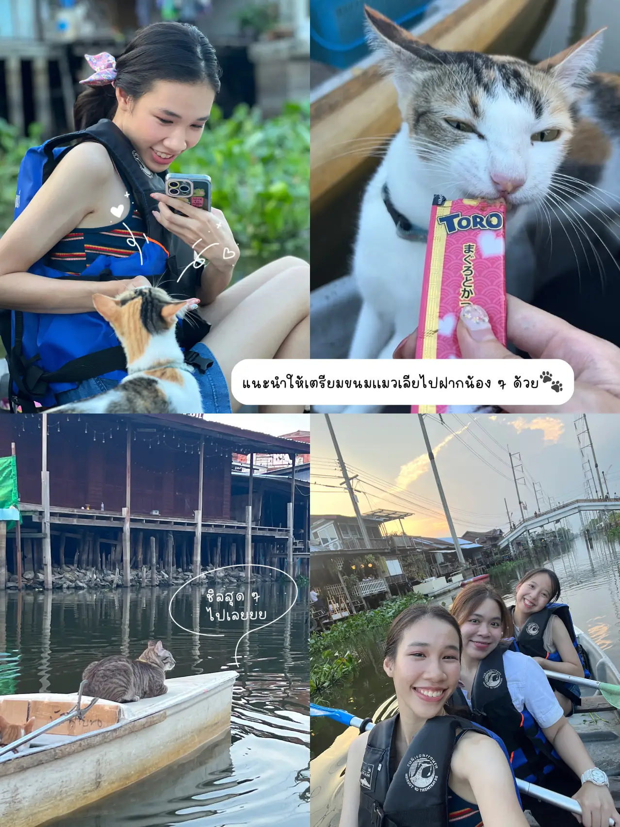 ทาสแมว🐾ห้ามพลาด! 🚣🏻‍♀️พายเรือเก็บขยะกับน้อนเเมวหัวตะเข้🐱 | แกลเลอรีที่โพสต์โดย kn_yada🐰🎀 | Lemon8