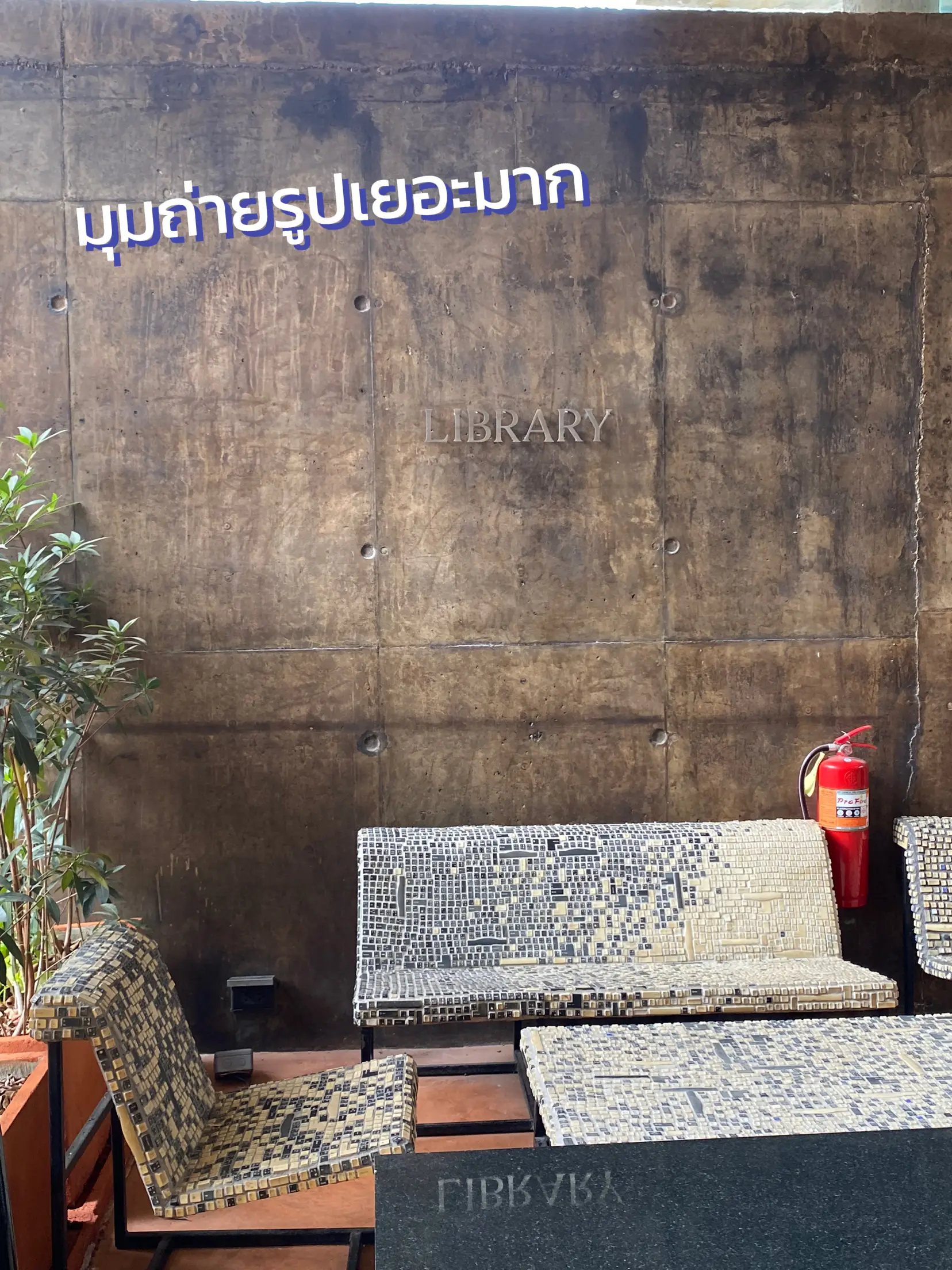 [ Jim Thompson House Museum ] ห้องสมุดดีๆที่กรุงเทพฯ 📚 | แกลเลอรีที่ ...