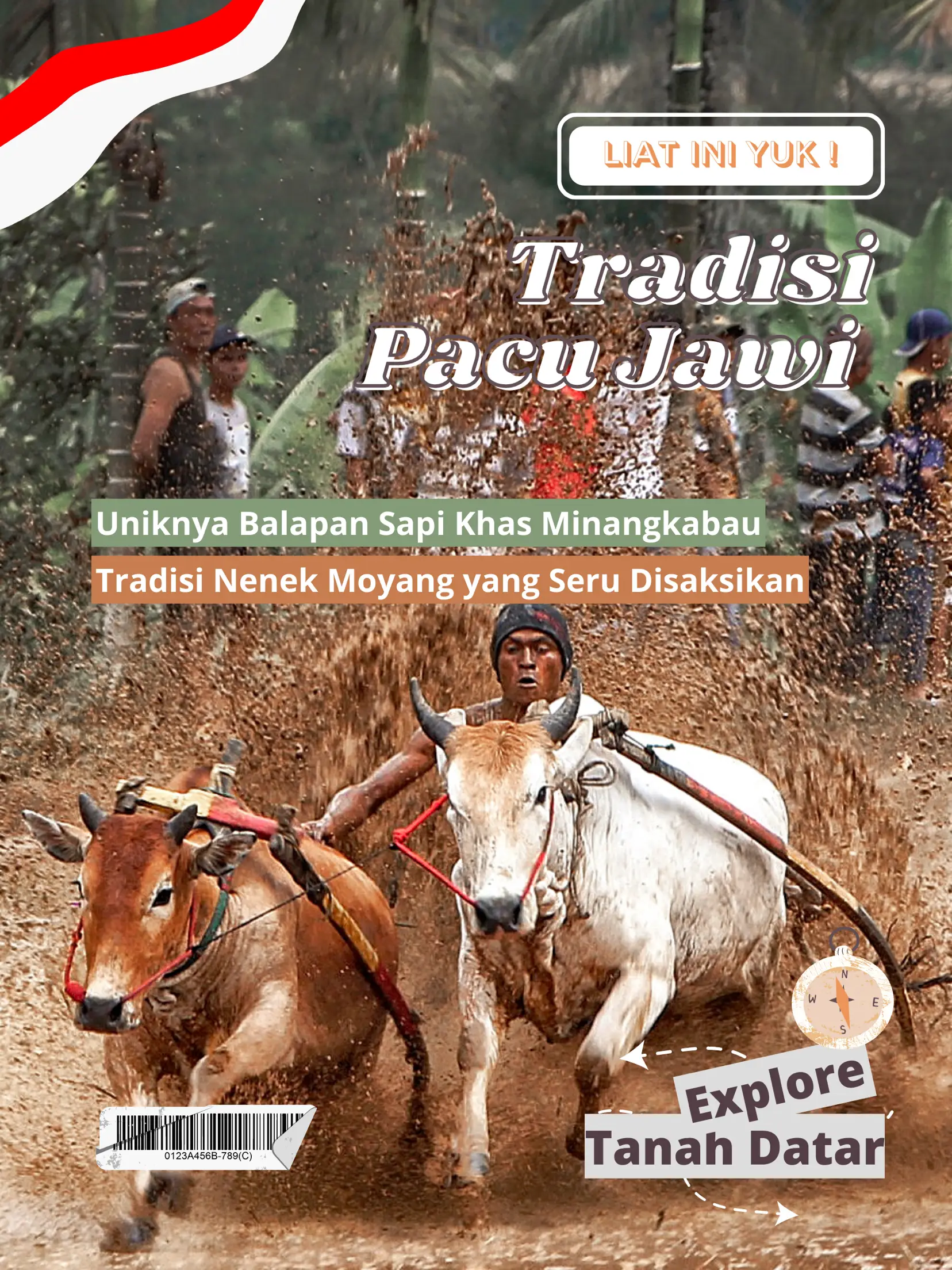 Seru Liat Tradisi Balapan Sapi Khas Minangkabau | แกลเลอรีที่โพสต์โดย ...