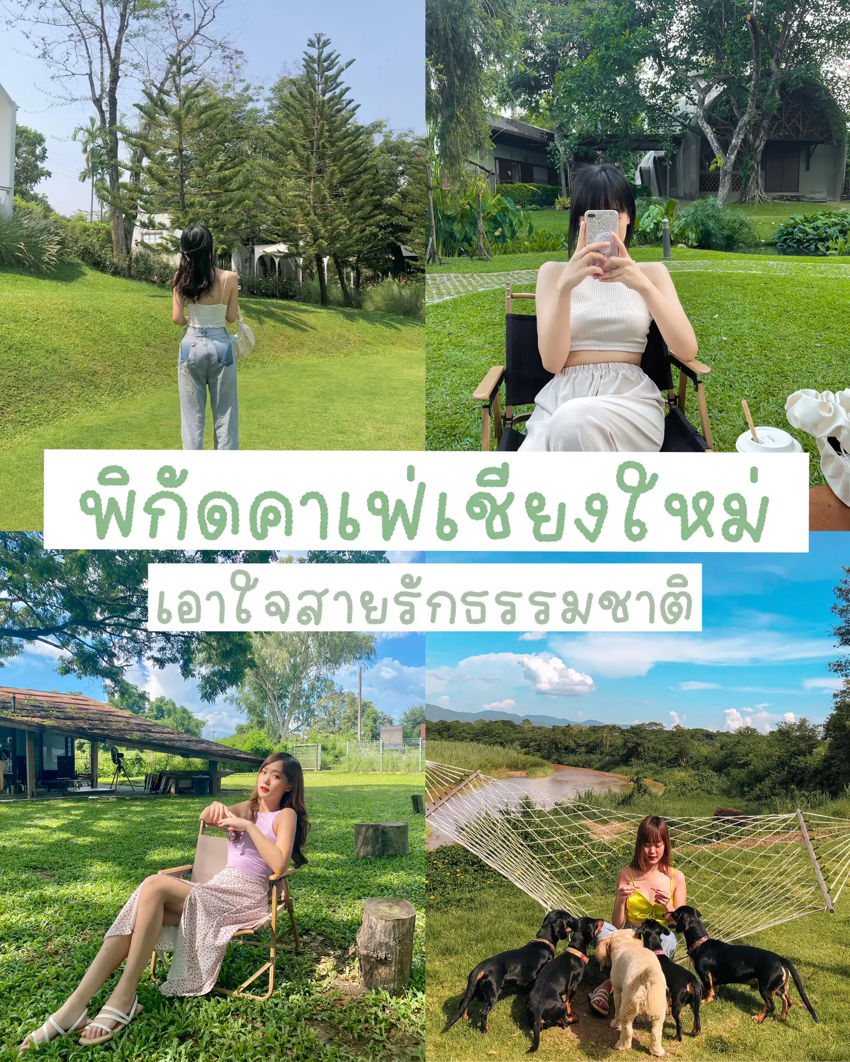 แจกพิกัดเที่ยวเชียงใหม่ ฉบับคนรักธรรมชาติ | วิดีโอที่เผยแพร่โดย Anusara | Lemon8