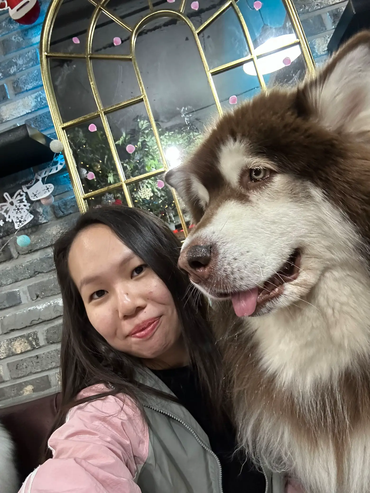 You MUST visit this SAMOYED CAFE in HONGDAE 🇰🇷 | Gallery posted by yi xuan | Lemon8