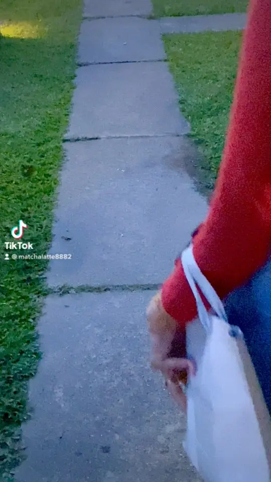 Nature🍃 | Video diterbitkan oleh Ayue Chun🌈🌹 | Lemon8