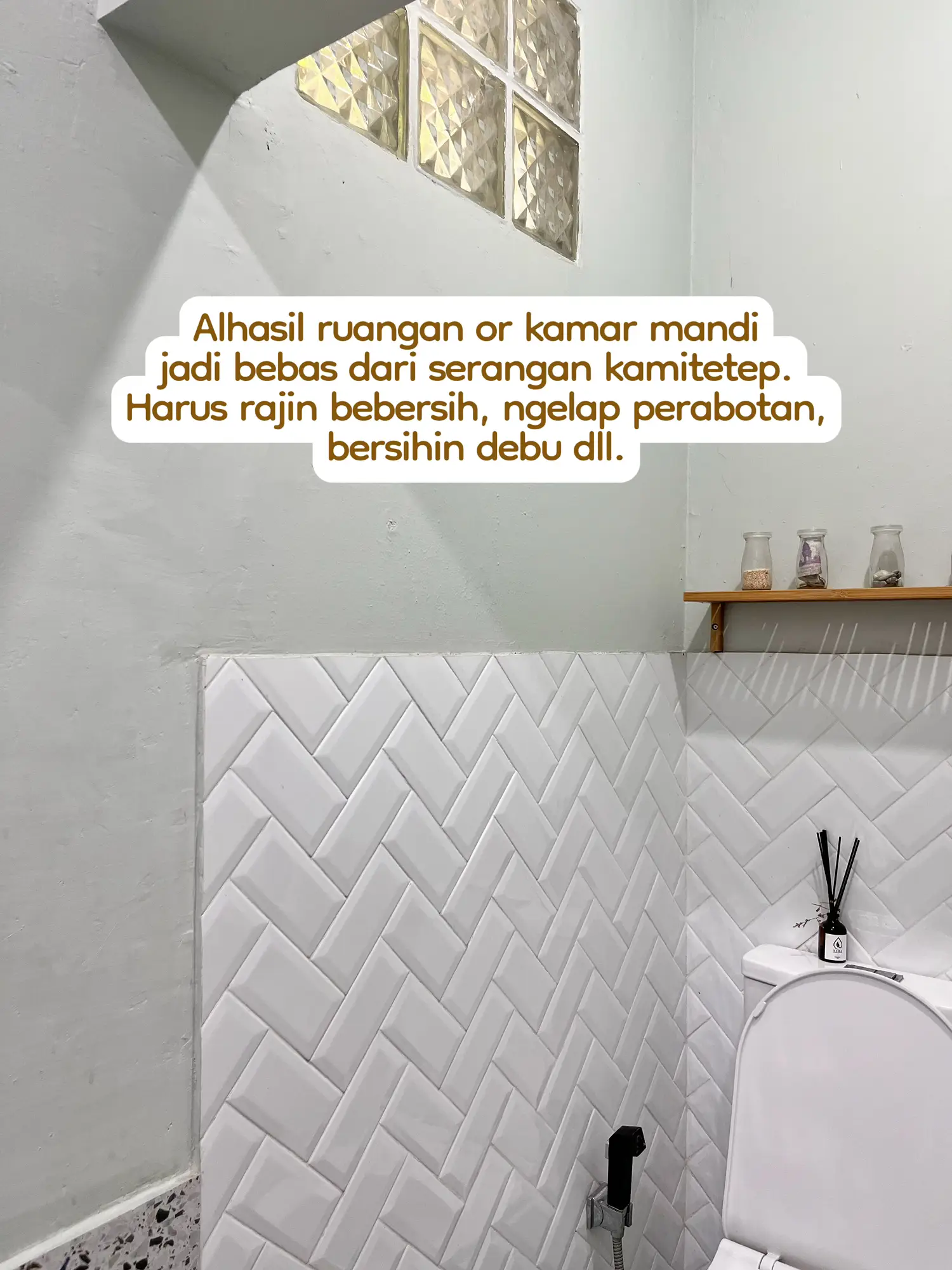Ngeri! Hewan Ini Bisa Bikin Gatel Sebadan” 😥🥺 | Galeri diposting oleh ...