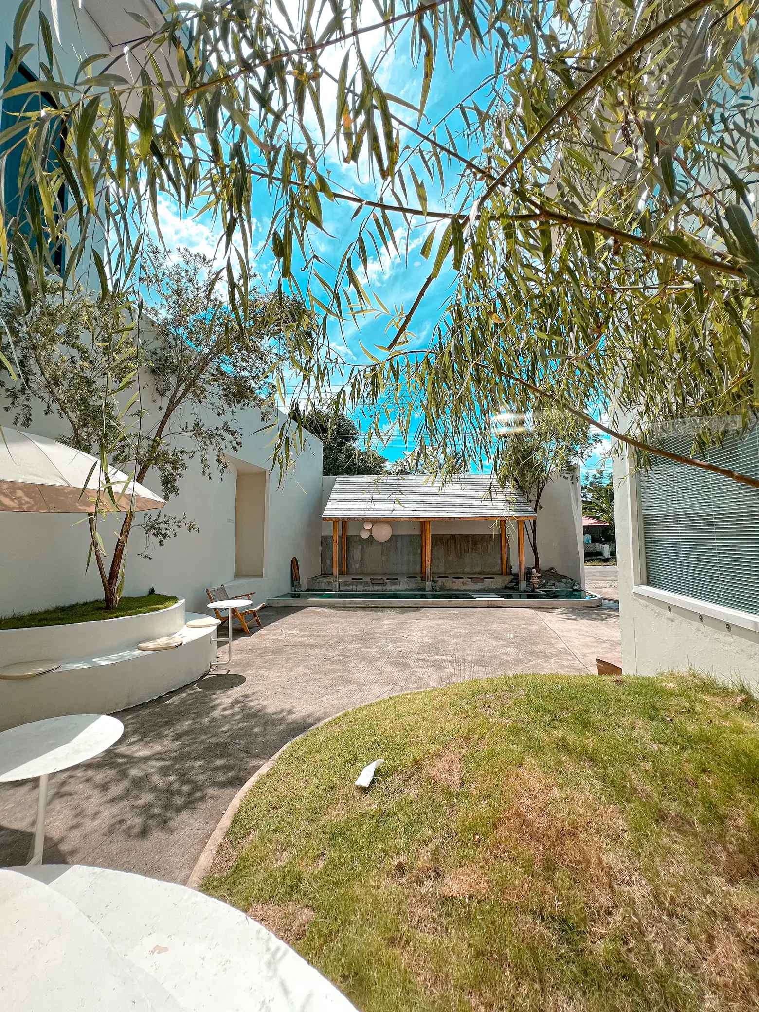 TOMATO HOUSE. CNX 🥐 | แกลเลอรีที่โพสต์โดย PLOYSAII. | Lemon8