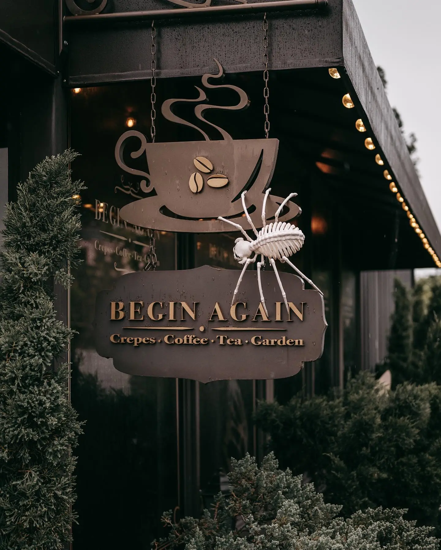 Begin Again เปลี่ยนบรรยากาศเป็นธีมฮาโลวีน 💀🖤 | แกลเลอรีที่โพสต์โดย Rattomarty | Lemon8