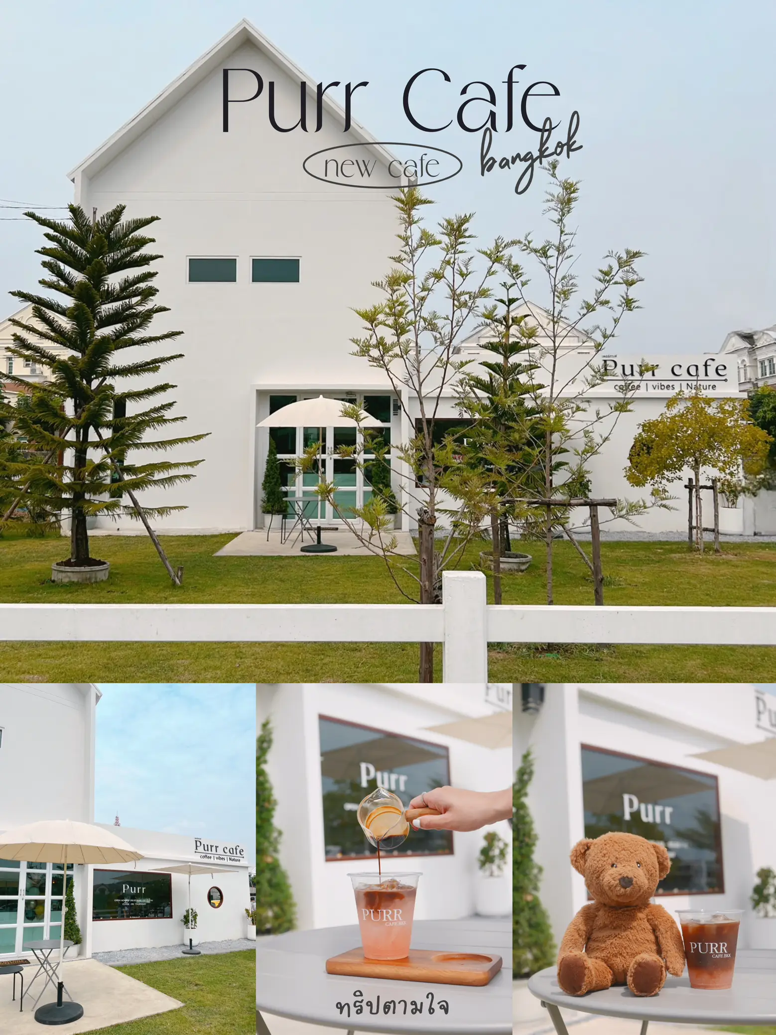 คาเฟ่เปิดใหม่ฟิลเขาใหญ่ 🌲 ย่านแจ้งวัฒนะ | แกลเลอรีที่โพสต์โดย ...