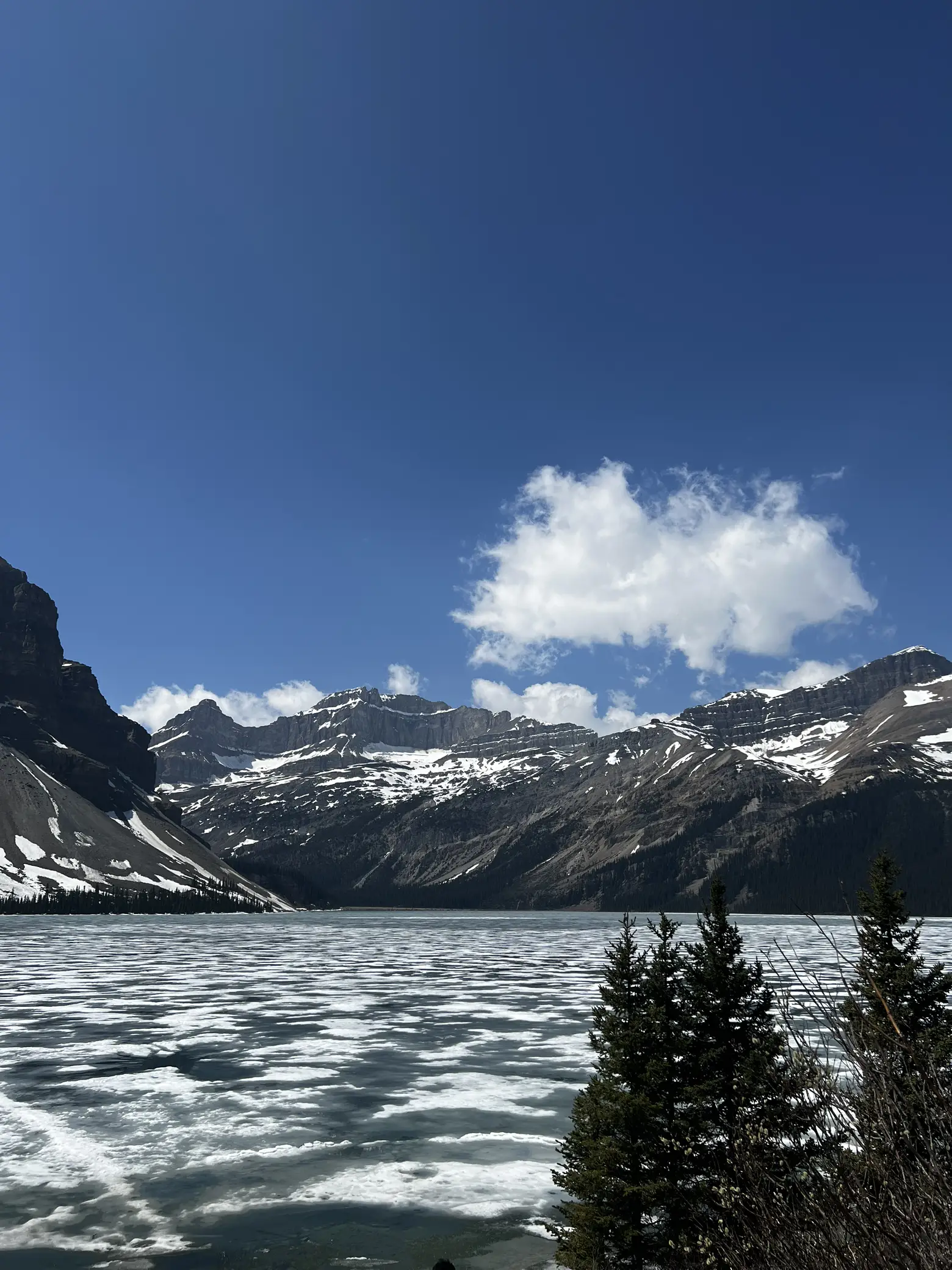 Scenic View - Lemon8 Search