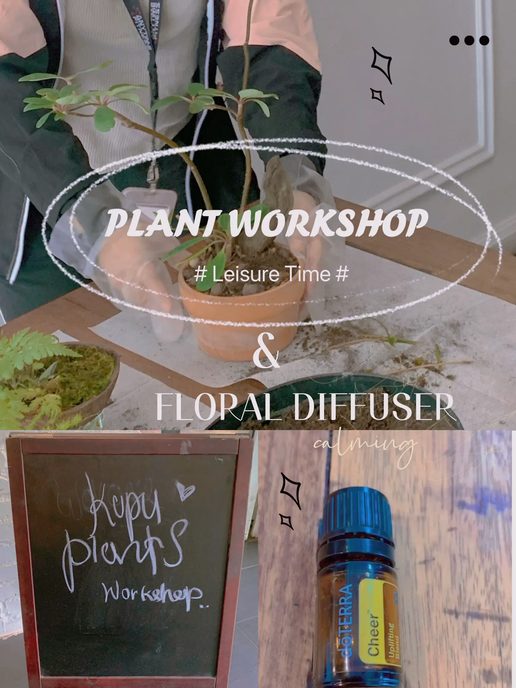 Educational Workshop 📝 : Gardening 🪴 | แกลเลอรีที่โพสต์โดย syidah.zaly | Lemon8