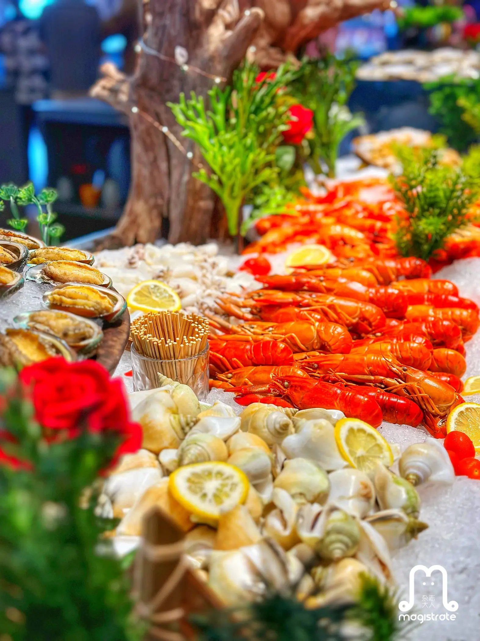 Premium Japanese Buffet @ Kuroma, Johor Bahru | Galeri disiarkan oleh ...