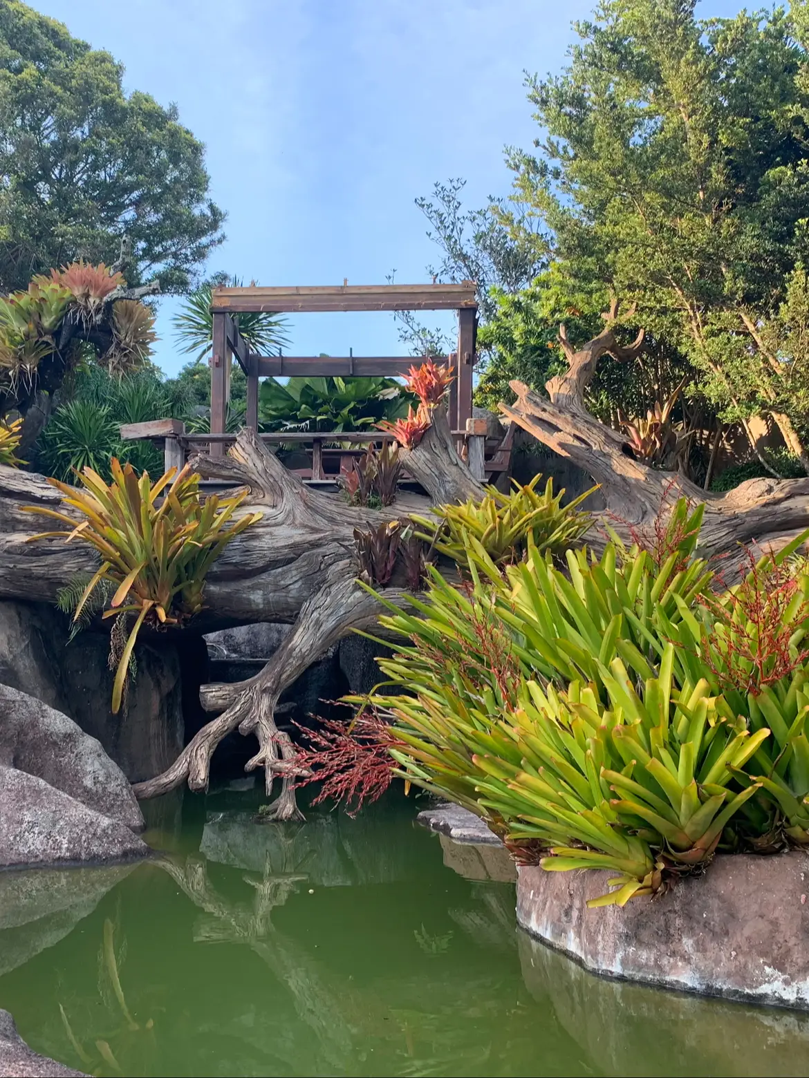 🇹🇭 Lago Di Khao Yai | Gallery posted by Val 💛 | Lemon8