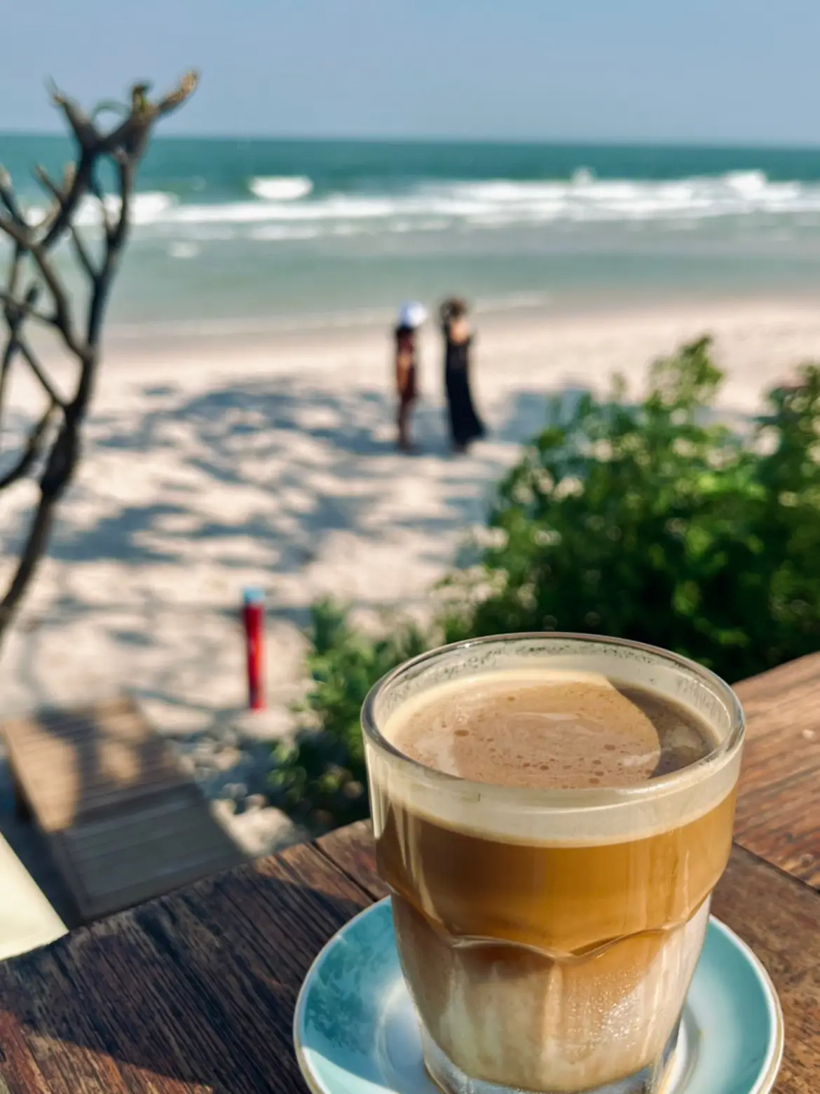 OrangexCafe EP.25 | Drip Lim Lay หัวหิน 🌊☕️ | แกลเลอรีที่โพสต์โดย ...