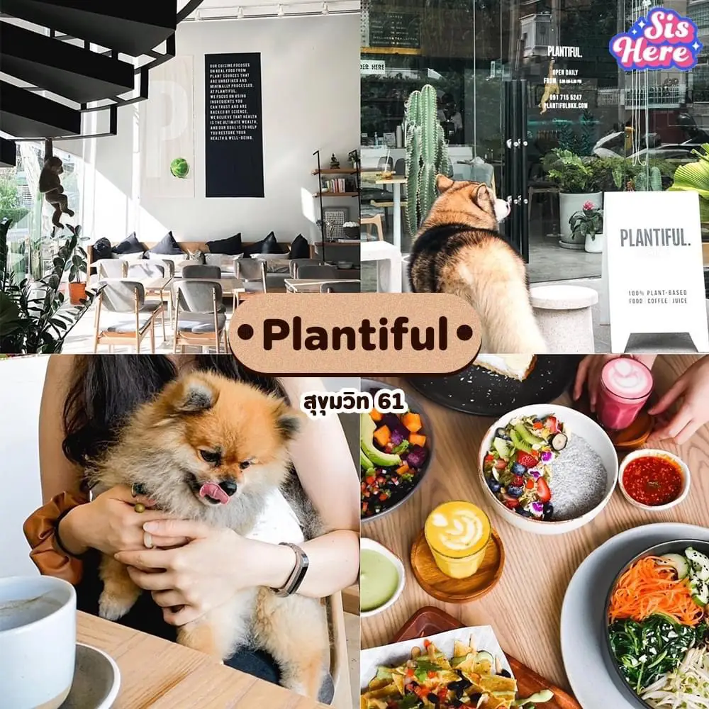 🐶รวม 6 ร้านอาหารนำสัตว์เลี้ยงเข้าได้🐱เหล่าทาสเซฟไว้เลย! | แกลเลอรีที่โพสต์โดย Sale Here | Lemon8