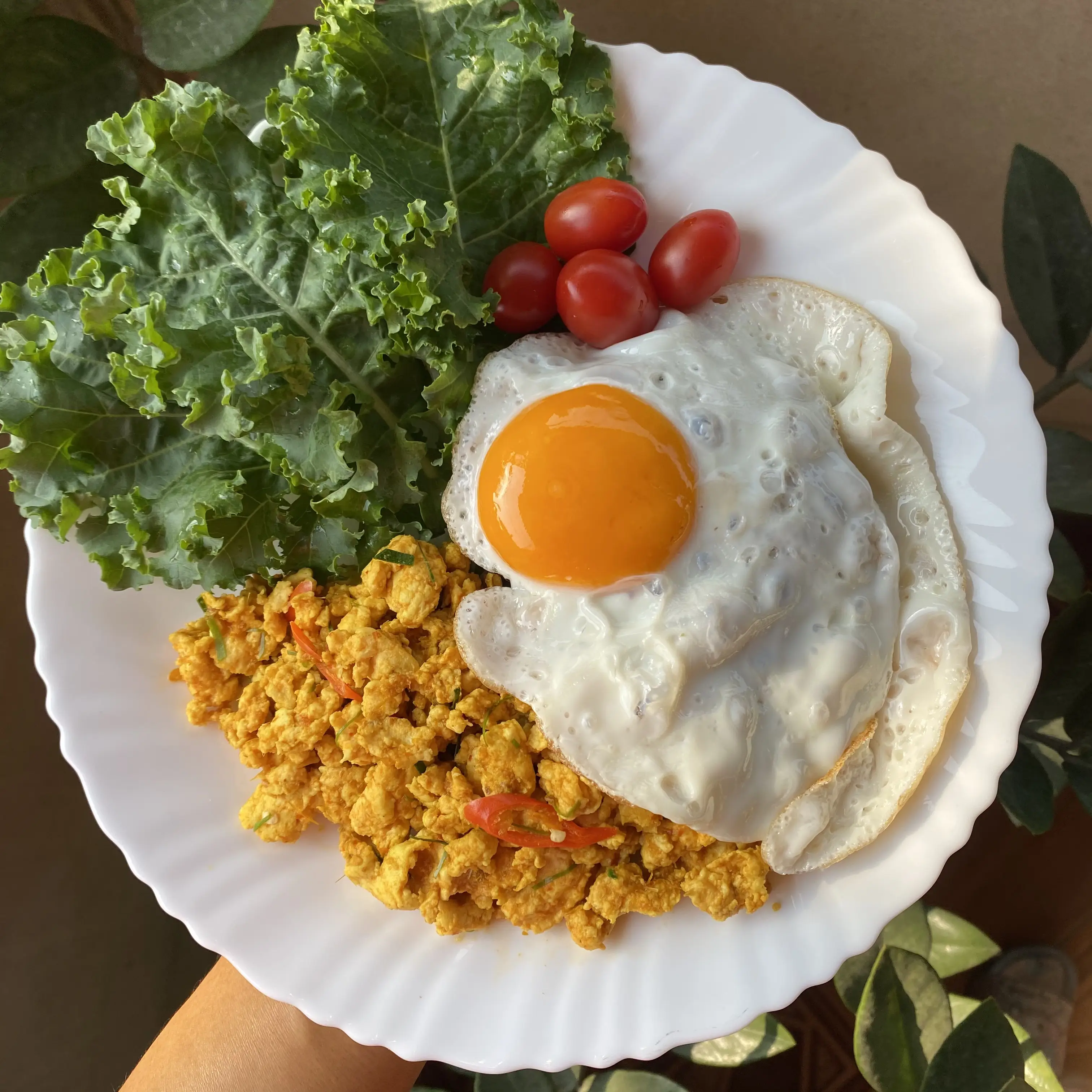 สารพัดประโยชน์จากผักเคล | แกลเลอรีที่โพสต์โดย bass_healthy | Lemon8