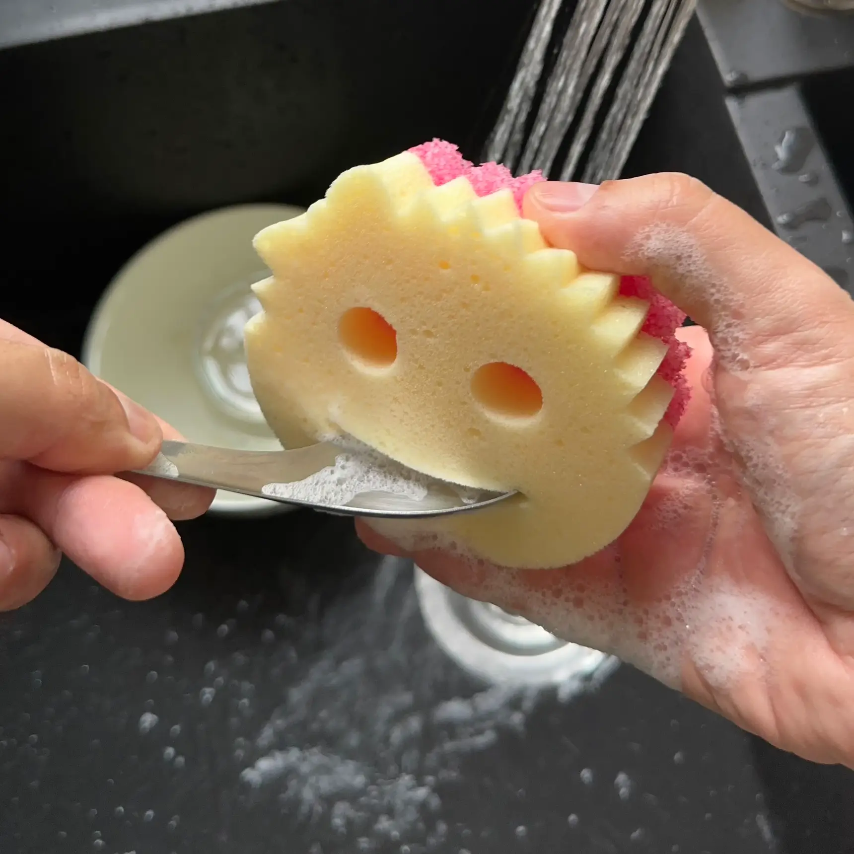 Half a thousand dishwashing sponges | Gallery posted by ผู้บริโภค | Lemon8