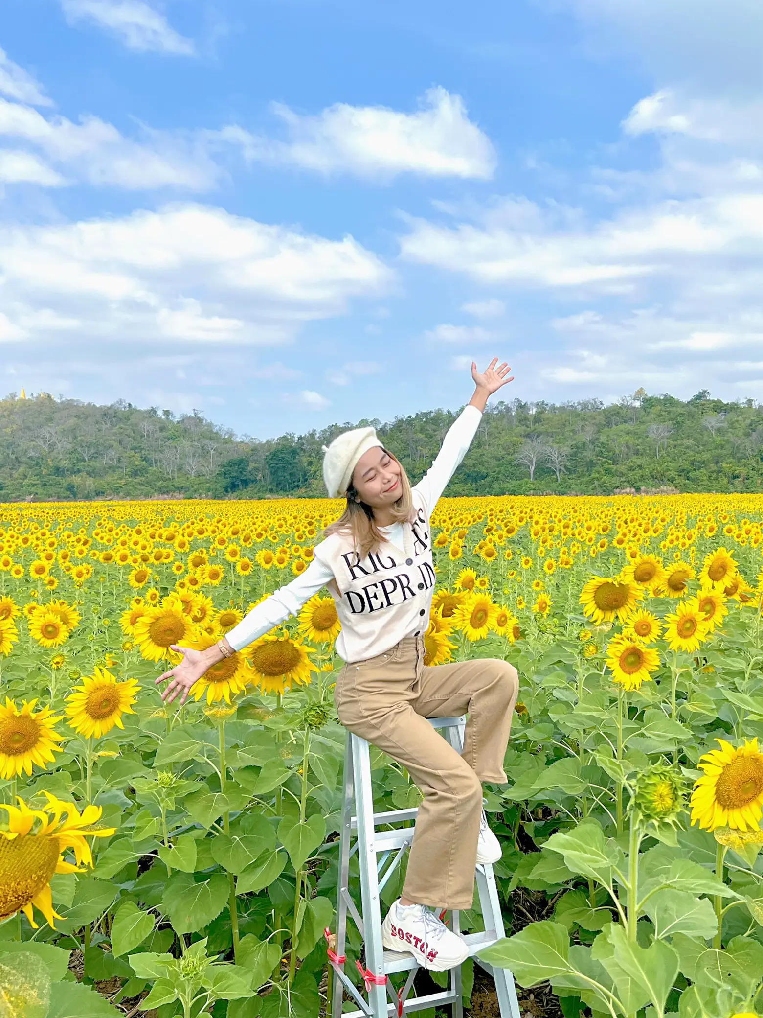 Sunflower fields are blooming. Let's take pictures. 🌻🌻 | Gallery posted ...