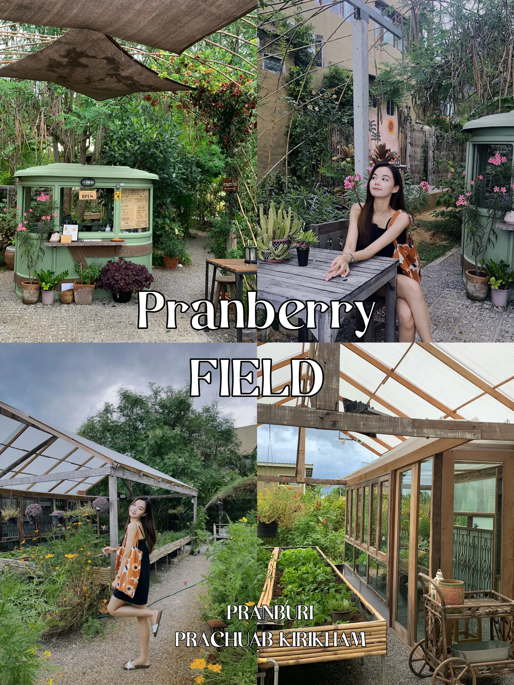 💐Pranberry field café คาเฟ่น่ารัก ไวบ์ดีมากกก🏠🪴 | แกลเลอรีที่โพสต์โดย Iron J. | Lemon8