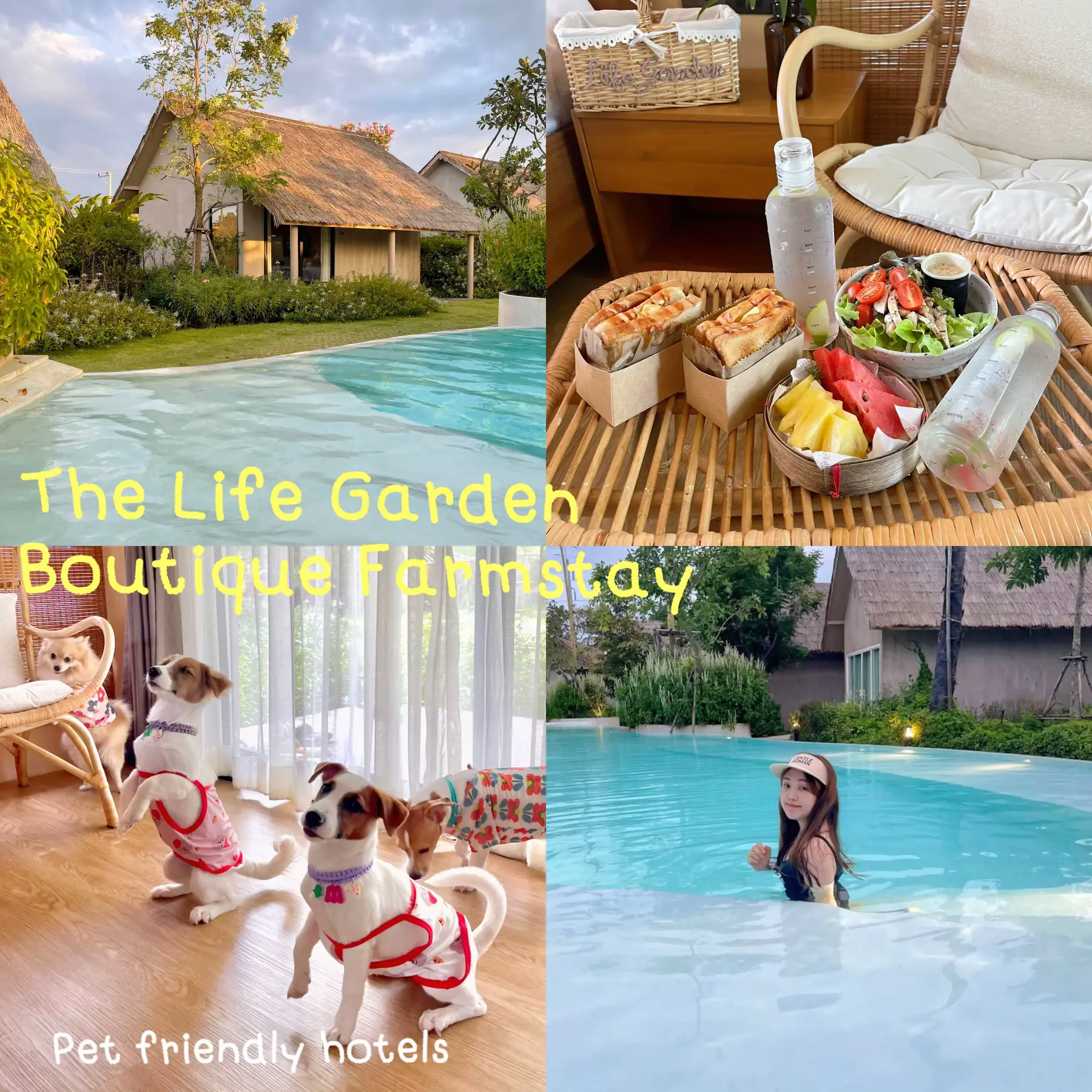 The Life Garden ที่พักเพชรบุรี น้องหมาพักได้ด้วยน้า🏖️🐶 | แกลเลอรีที่ ...
