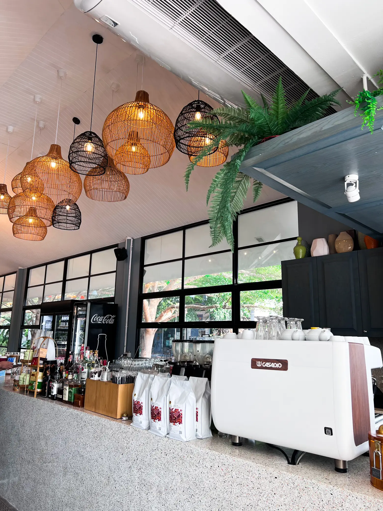 “Gecko Garden Cafe” คาเฟ่พัทยาใต้ ที่พาน้องหมาเข้าได้ 📍🐶 | แกลเลอรีที่ ...