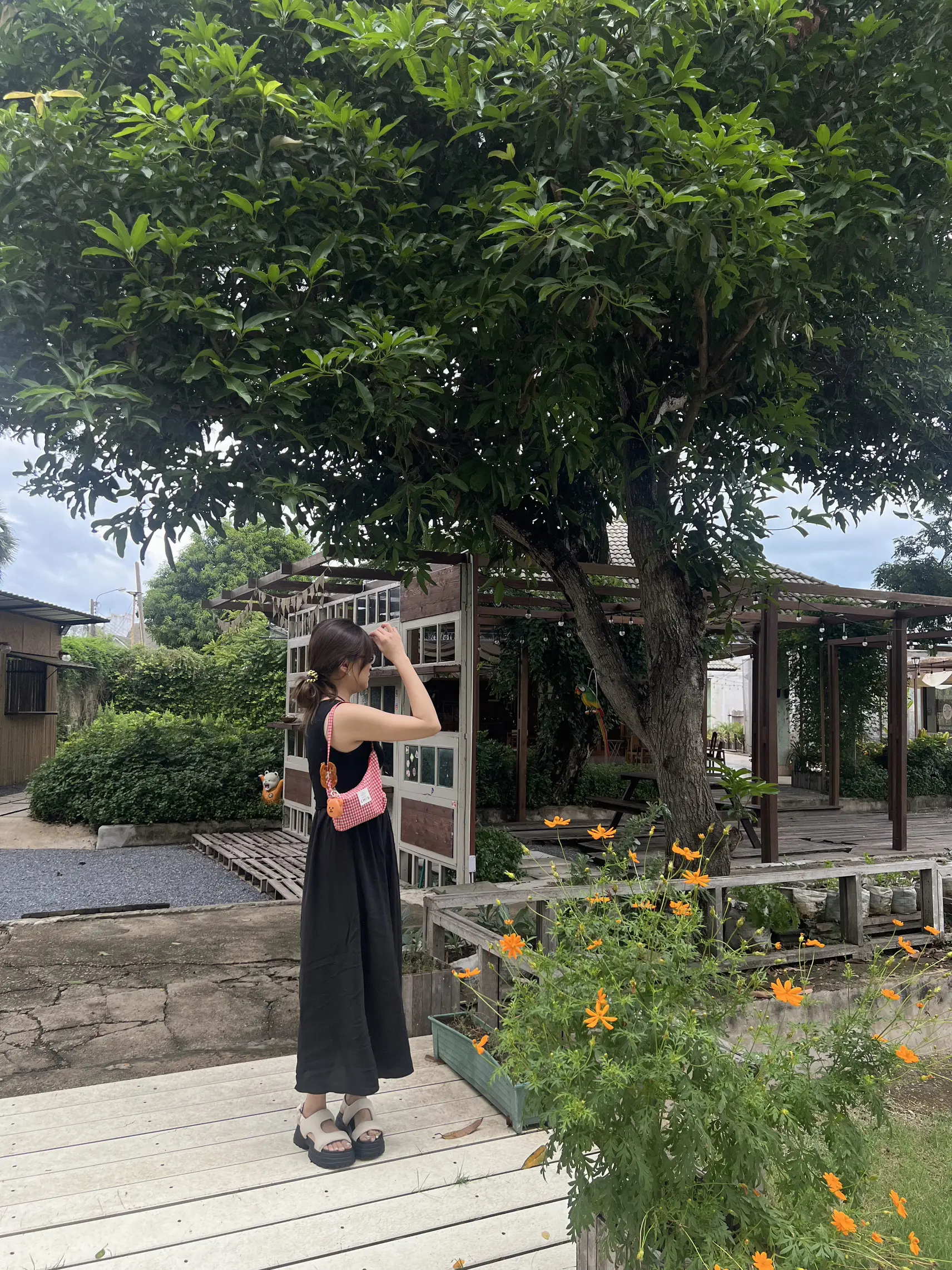 Groot hotpot📍ชื่อสถานที่ ปักหมุดร้านชาบูใหม่ ห้ามพลาด~ | แกลเลอรีที่โพสต์โดย sugarlips | Lemon8