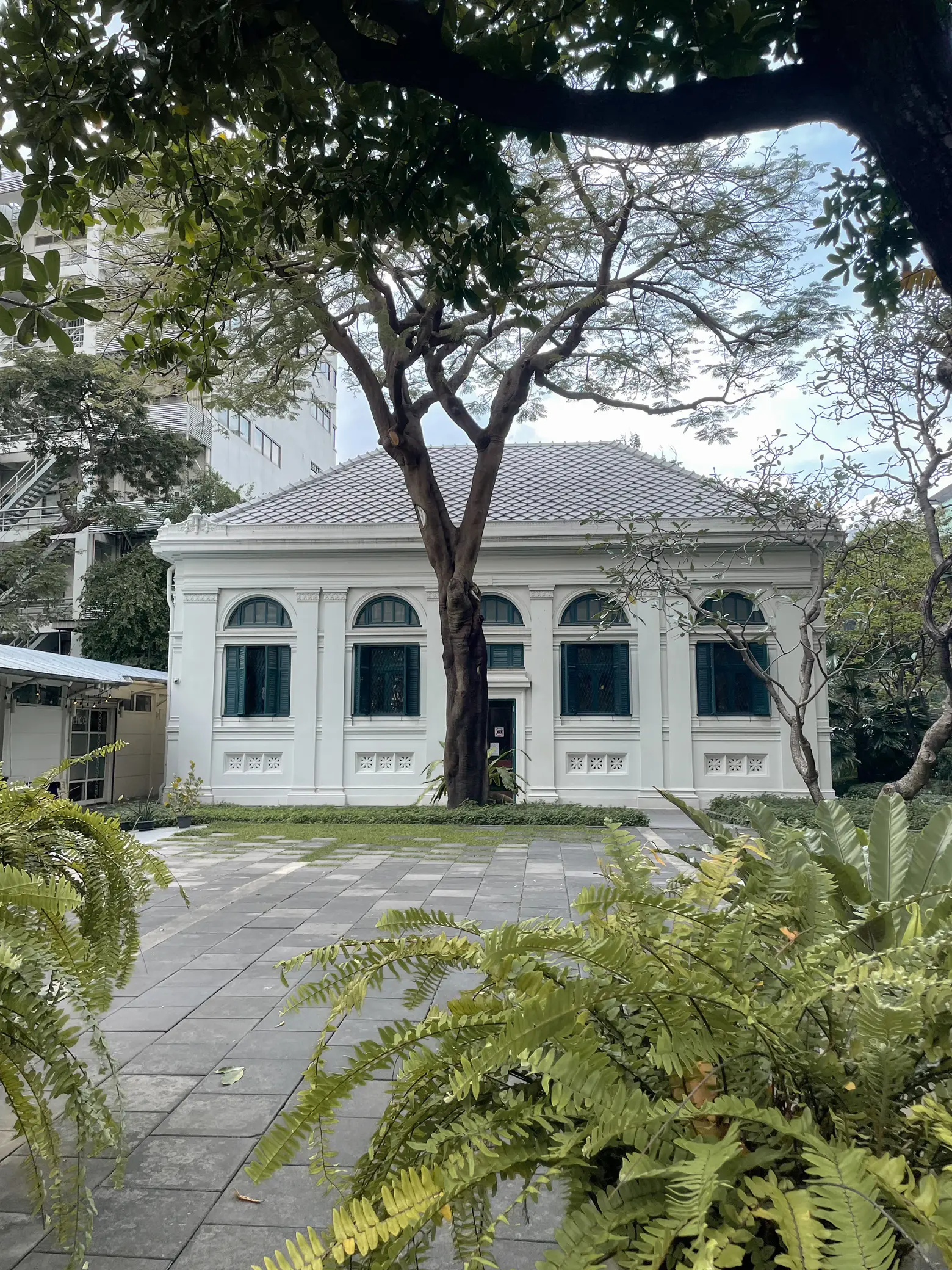 ฟิลปารีส in ห้องสมุดเนียลสัน เฮส์⭐️ (Neilson Hays Library) | แกลเลอรี ...