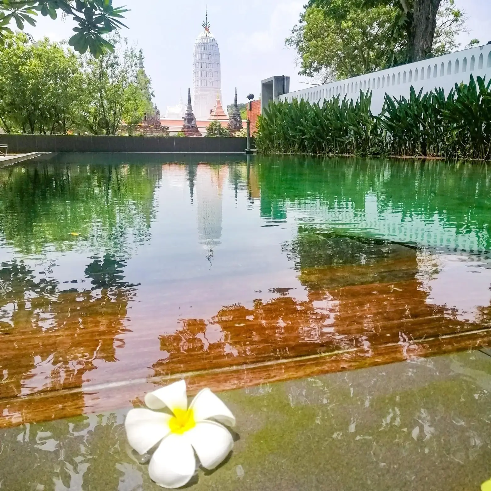 iuDia on the River Ayutthaya พักผ่อน พักใจ | แกลเลอรีที่โพสต์โดย opal658 | Lemon8