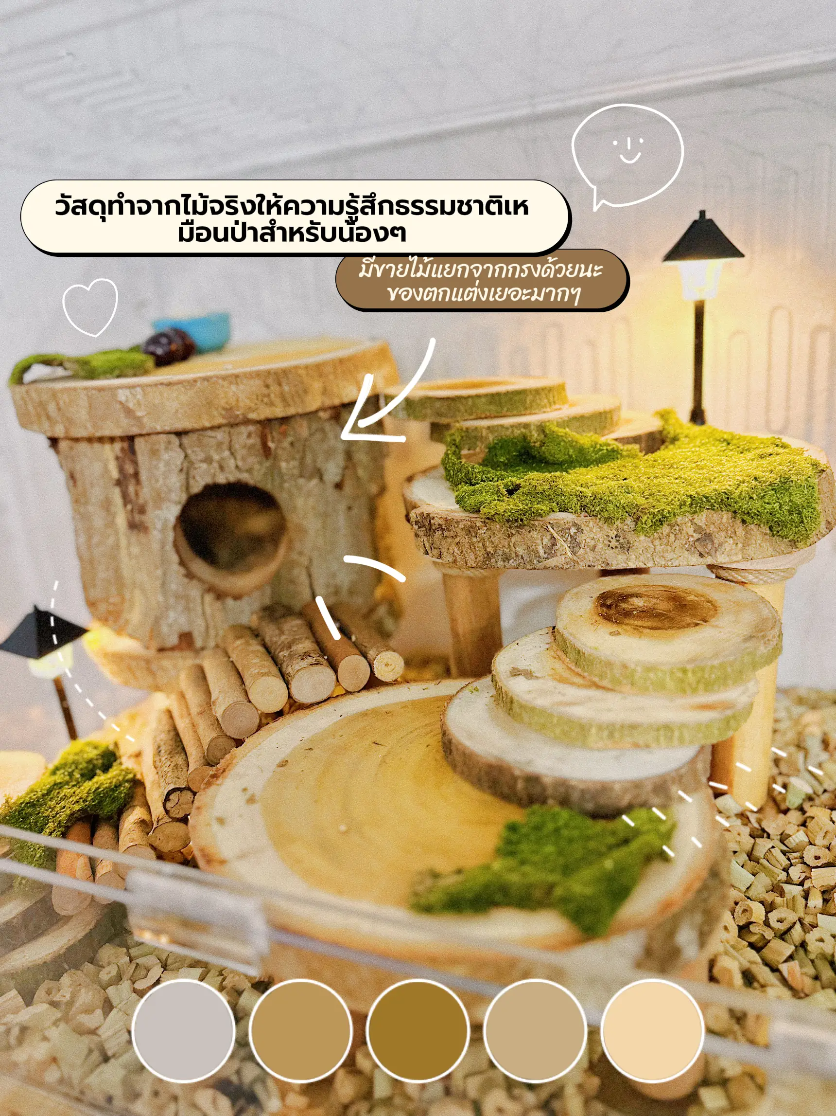 Tiny Squirrel Dormouse Review Cage Acrylic🛖🐿️🌼 | Gallery posted by บีม ...