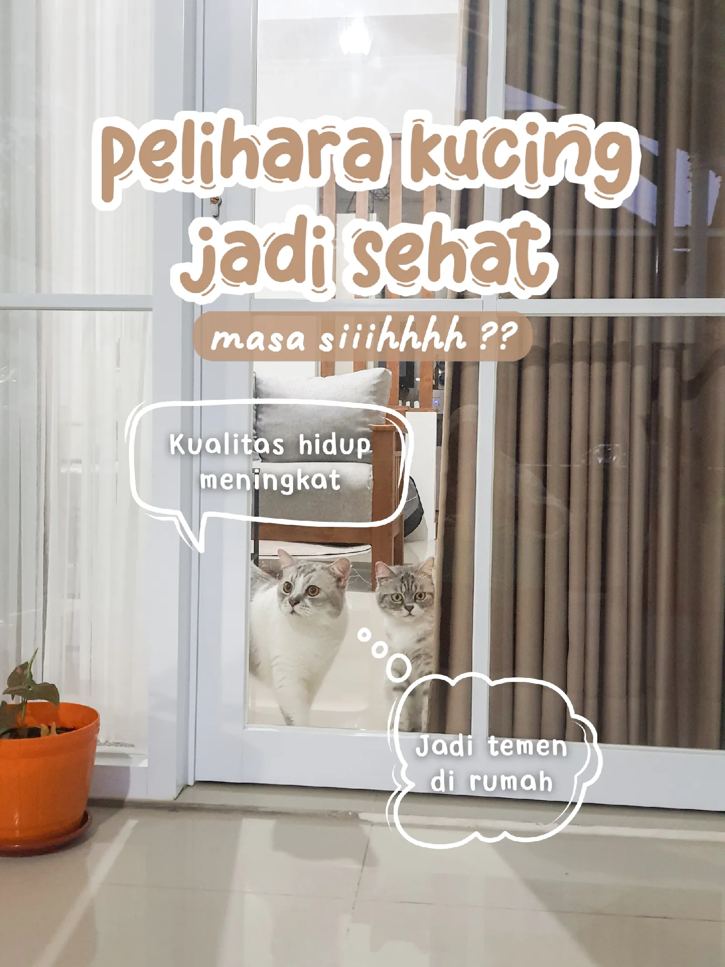 Manfaat Kucing untuk Kesehatan, Apa Aja Yaa?? 🐾 | Galeri diposting oleh ...