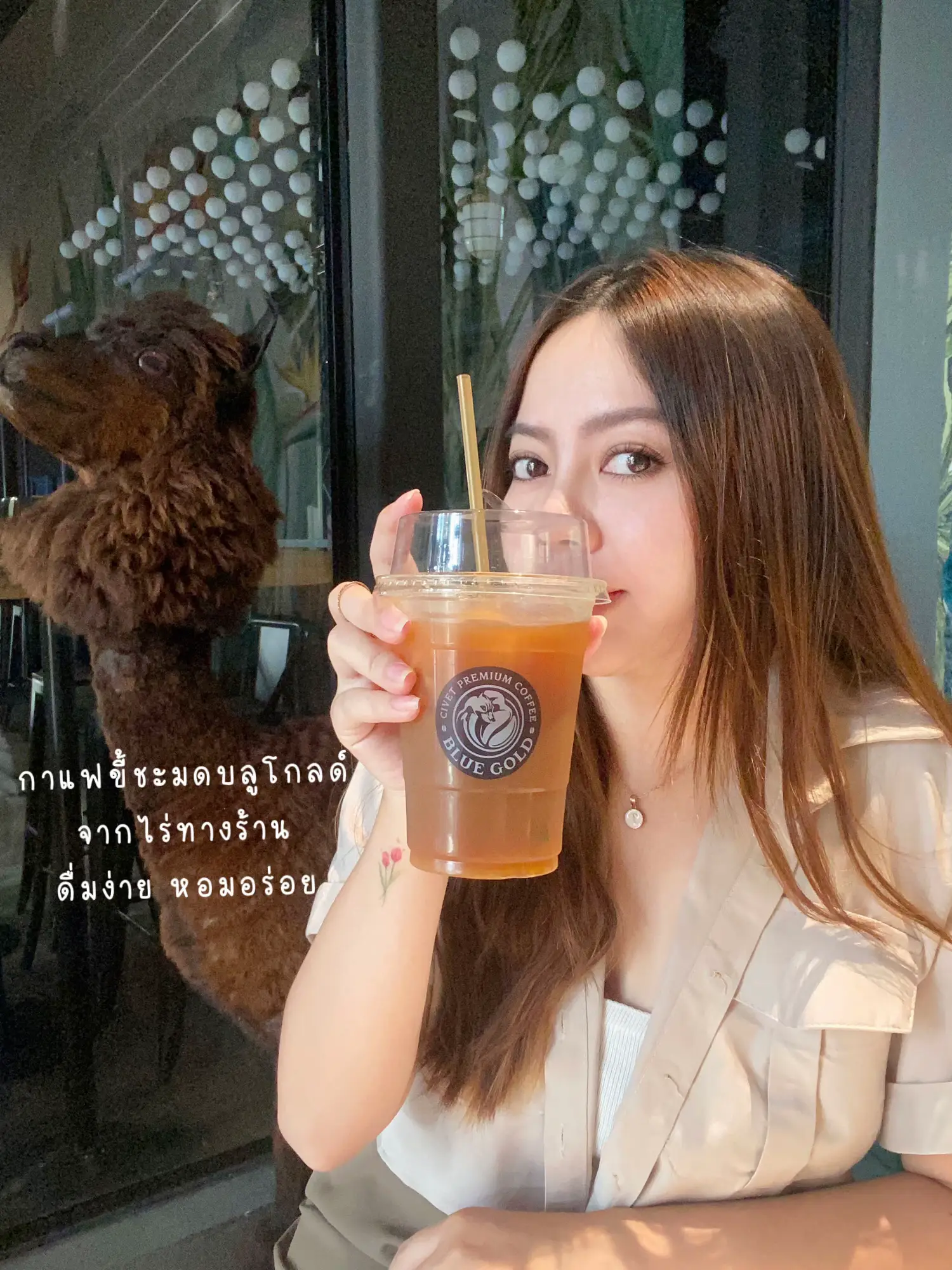 คาเฟ่สวนสัตว์ใกล้บ้าน🦊 | แกลเลอรีที่โพสต์โดย jxngksm | Lemon8