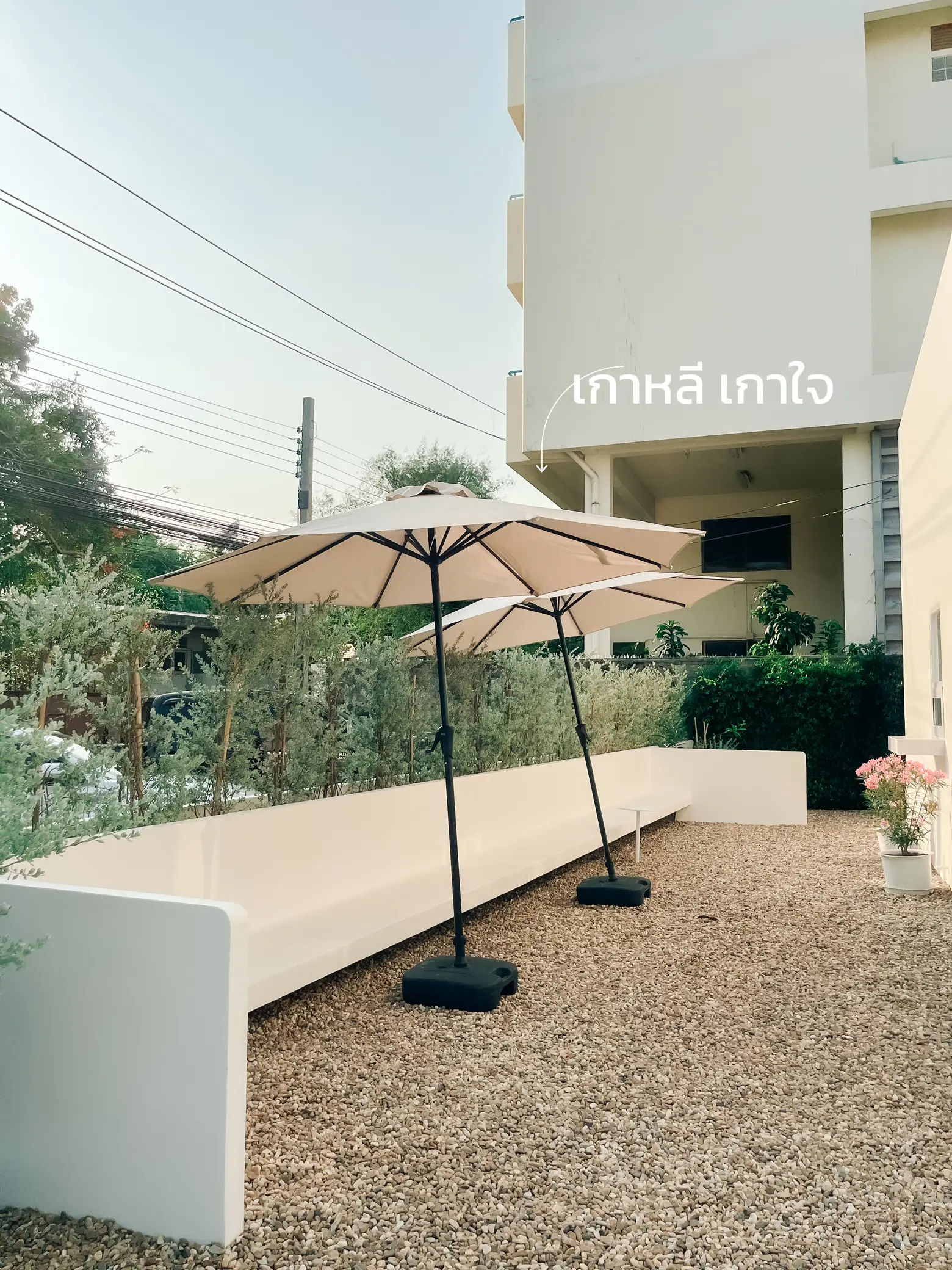 BOUND Cafe ใกล้ BTS ปุณณวิถี | แกลเลอรีที่โพสต์โดย Pukkie | Lemon8