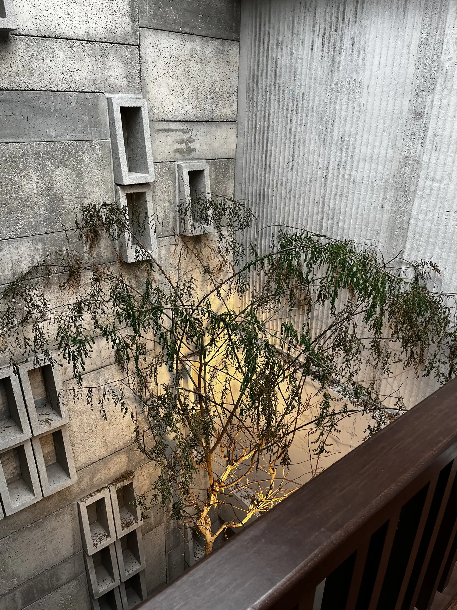 Broom at Bukit Bintang 🔆 | Galeri disiarkan oleh J | Lemon8