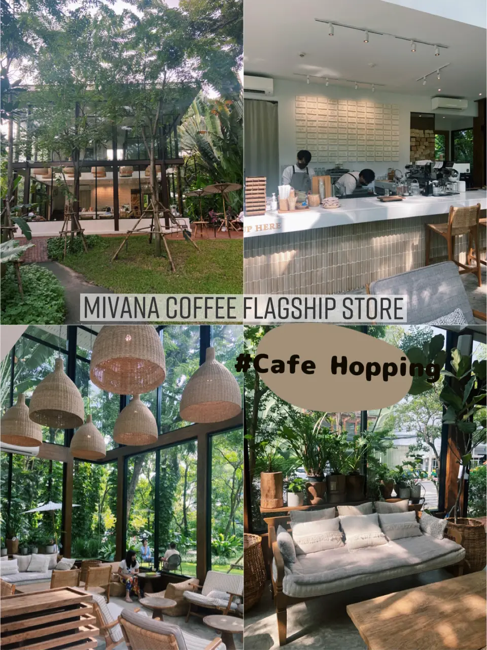 📍Mivana organic forest coffeeร้านกาแฟย่านศรีนครินทร์ | แกลเลอรีที่โพสต์ ...
