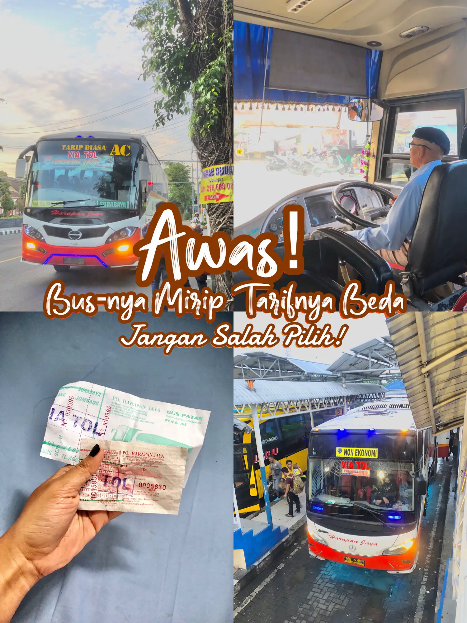 Jangan Sampai Salah Bus! | Galeri diposting oleh Gerielfarah | Lemon8
