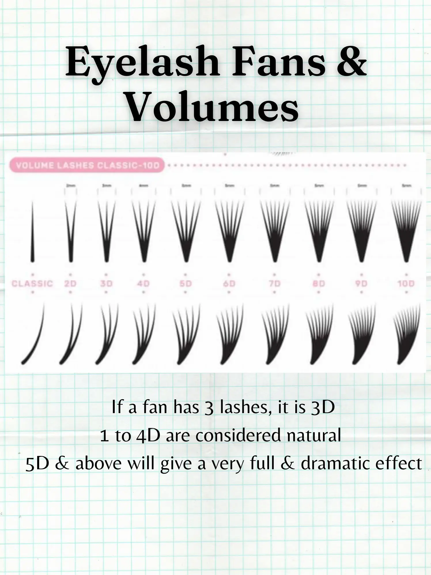 Eyelash extension guide! | Gallery posted by 𝓘𝓼𝓪𝓫𝓮𝓵 | Lemon8