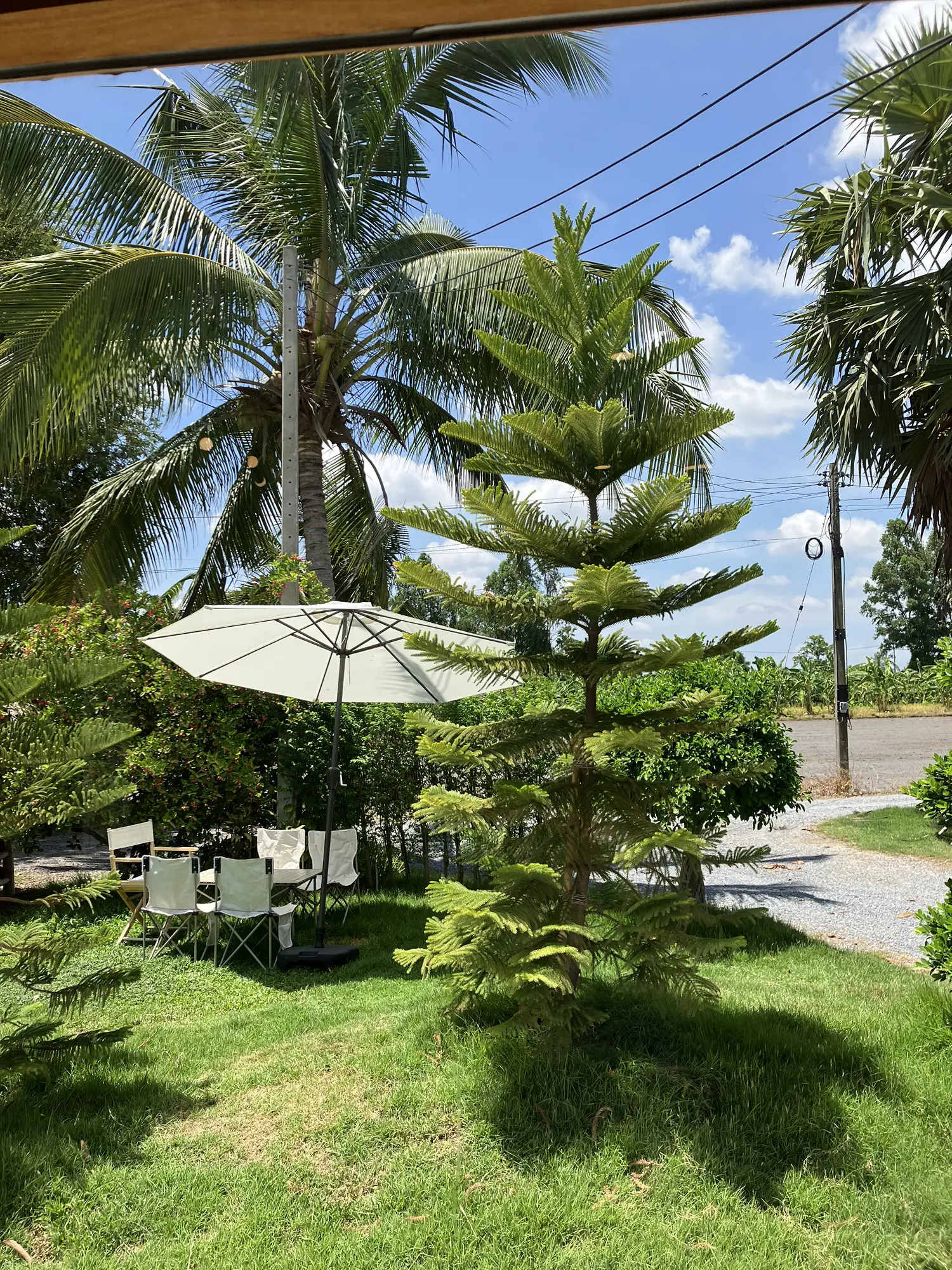 คาเฟ่เกาหลี เกาใจ จ.สุพรรณบุรี 🌸 | แกลเลอรีที่โพสต์โดย Irne.wk | Lemon8