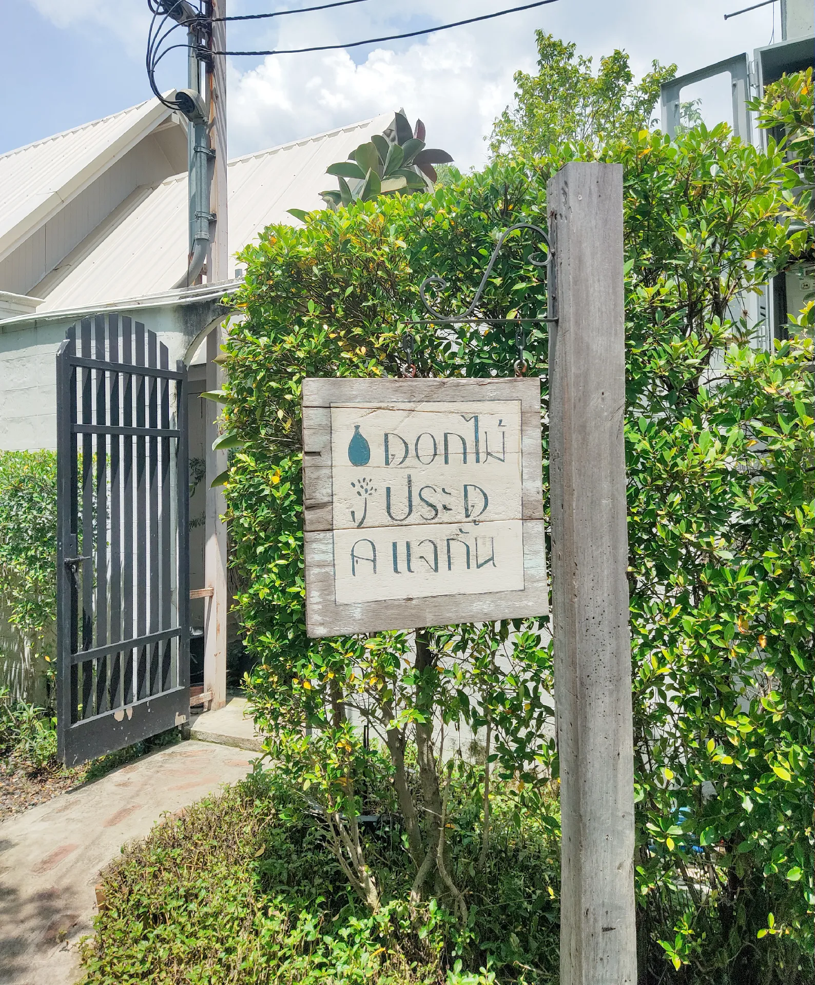 📌 คาเฟ่ถ่ายรูปสวย ย่าน พระราม 2 ! ฟิวดี~เงียบสุดๆ🍃 | แกลเลอรีที่โพสต์โดย jab_lee | Lemon8